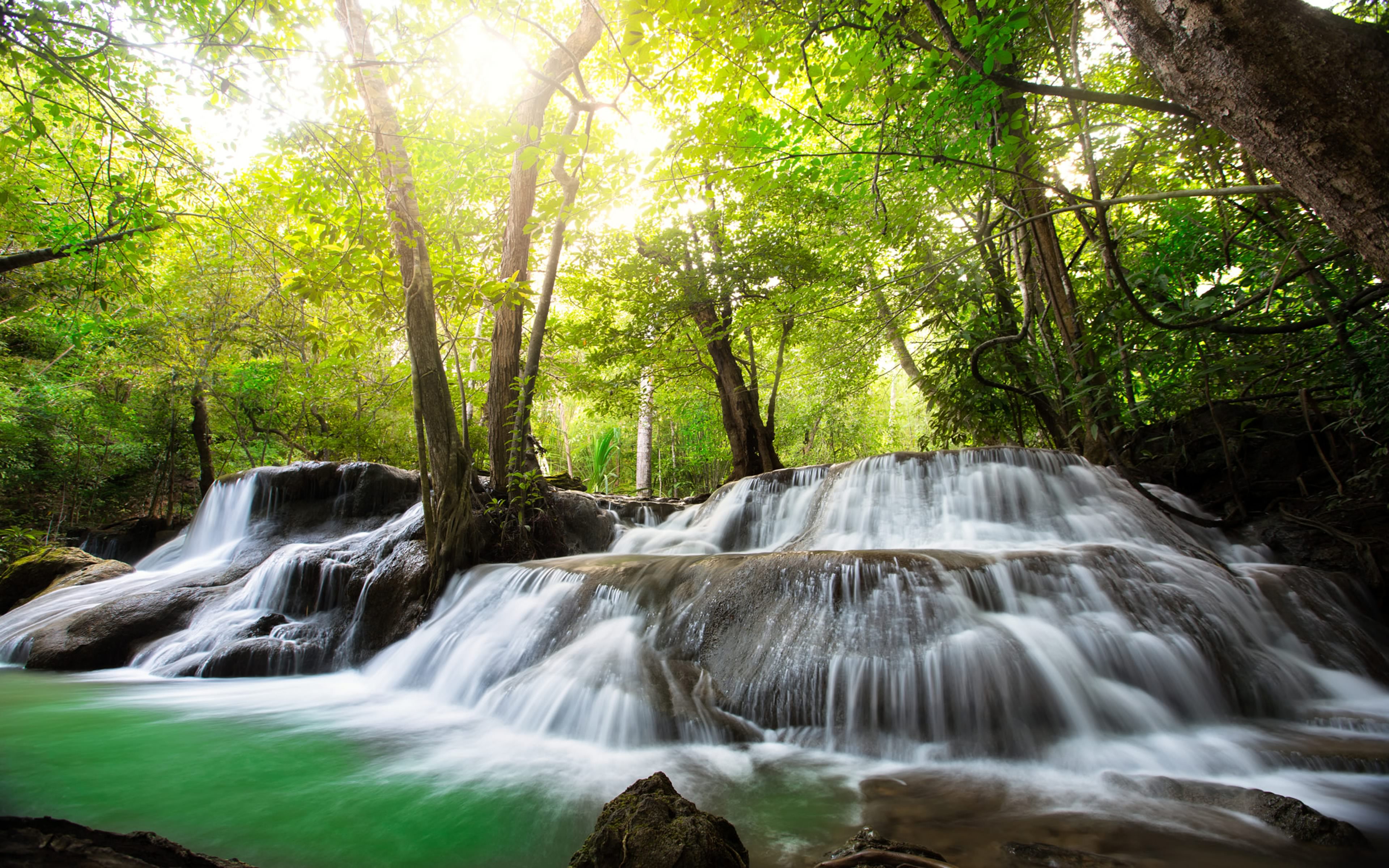 Download Forest Nature Waterfall 4k Ultra HD Wallpaper
