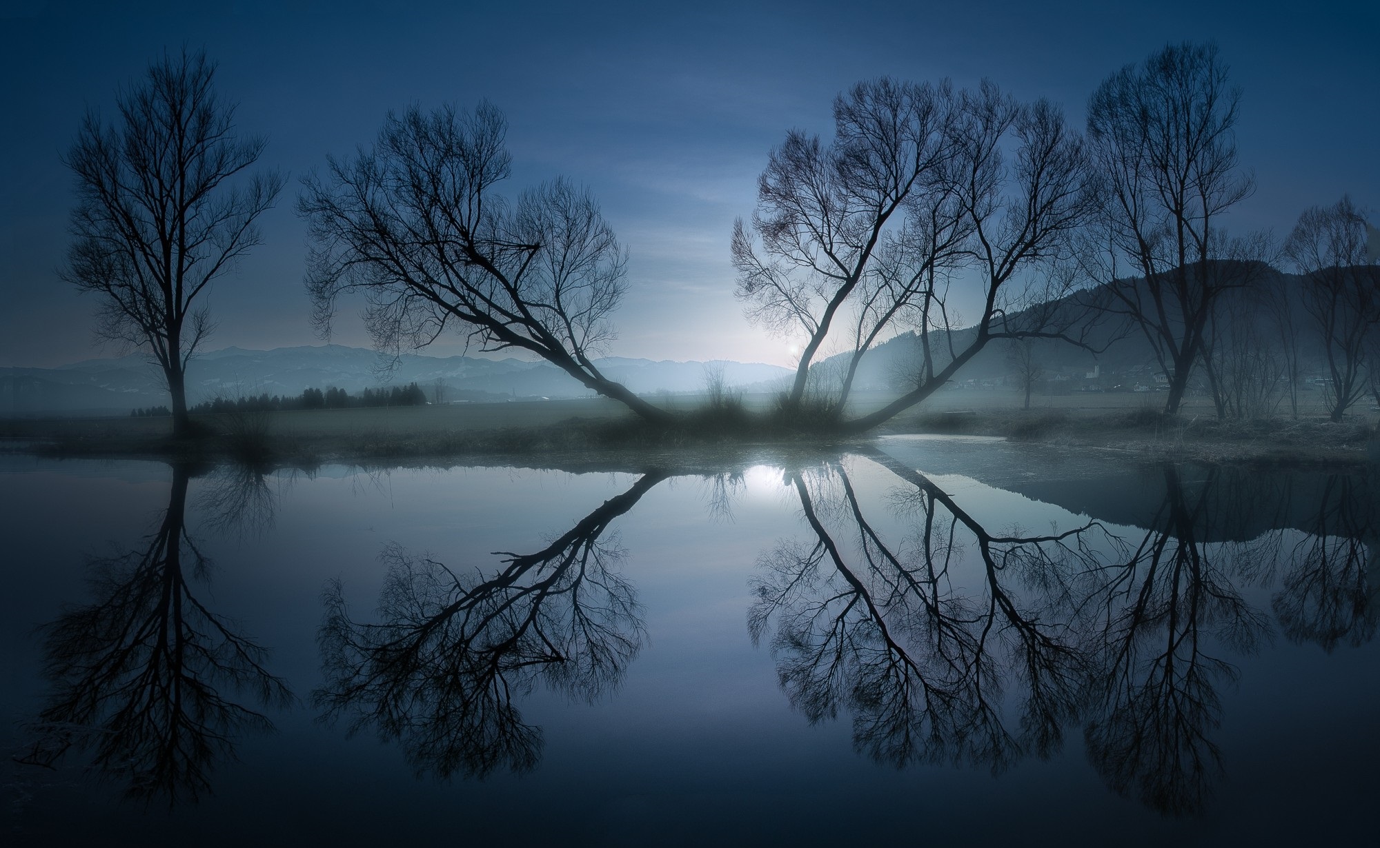 Download Tree Nature Reflection HD Wallpaper