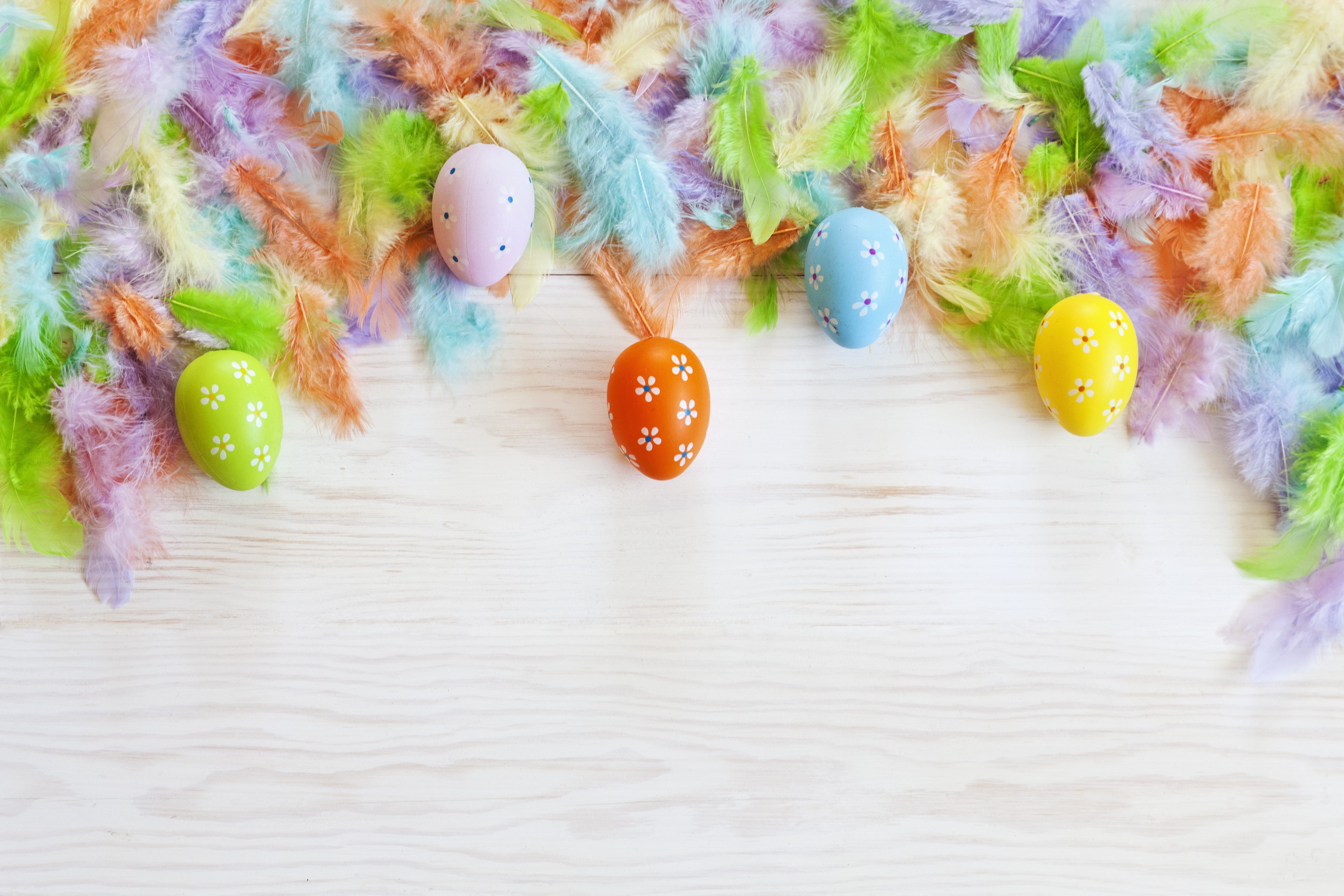 Download Feather Easter Egg Holiday Easter 4k Ultra HD Wallpaper