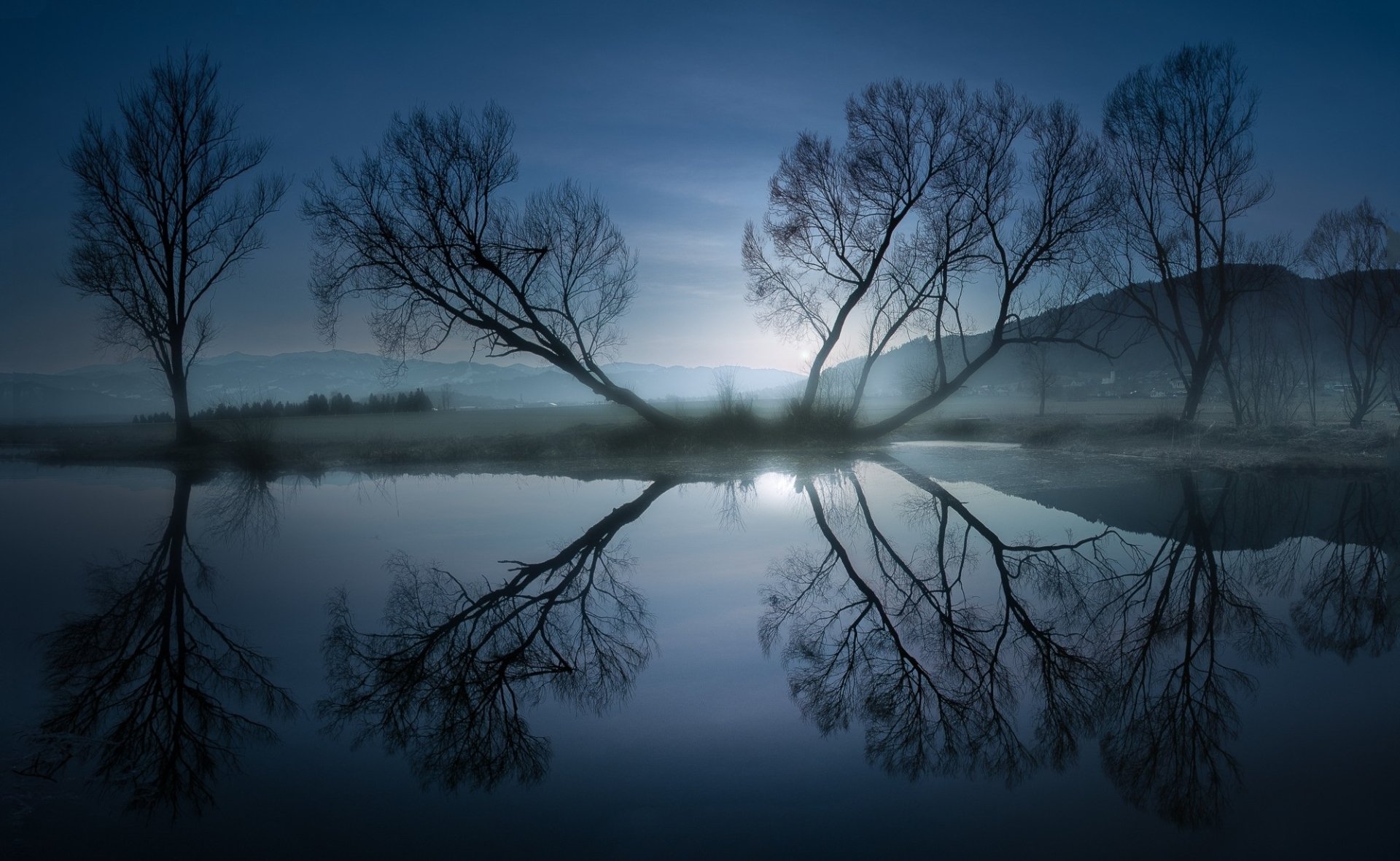 Download Tree Nature Reflection HD Wallpaper