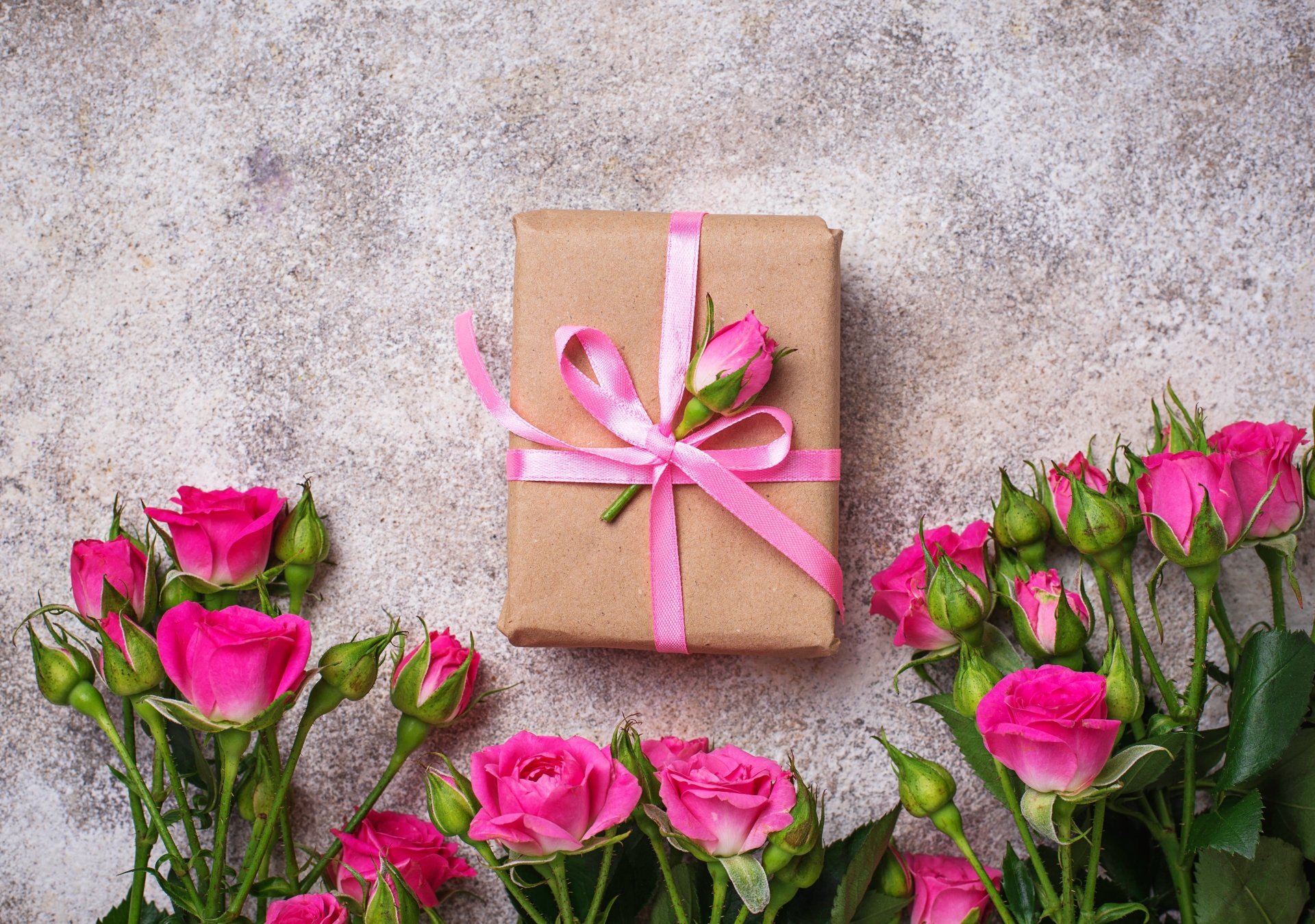 Download Still Life Pink Flower Rose Flower Misc Gift 4k Ultra HD ...