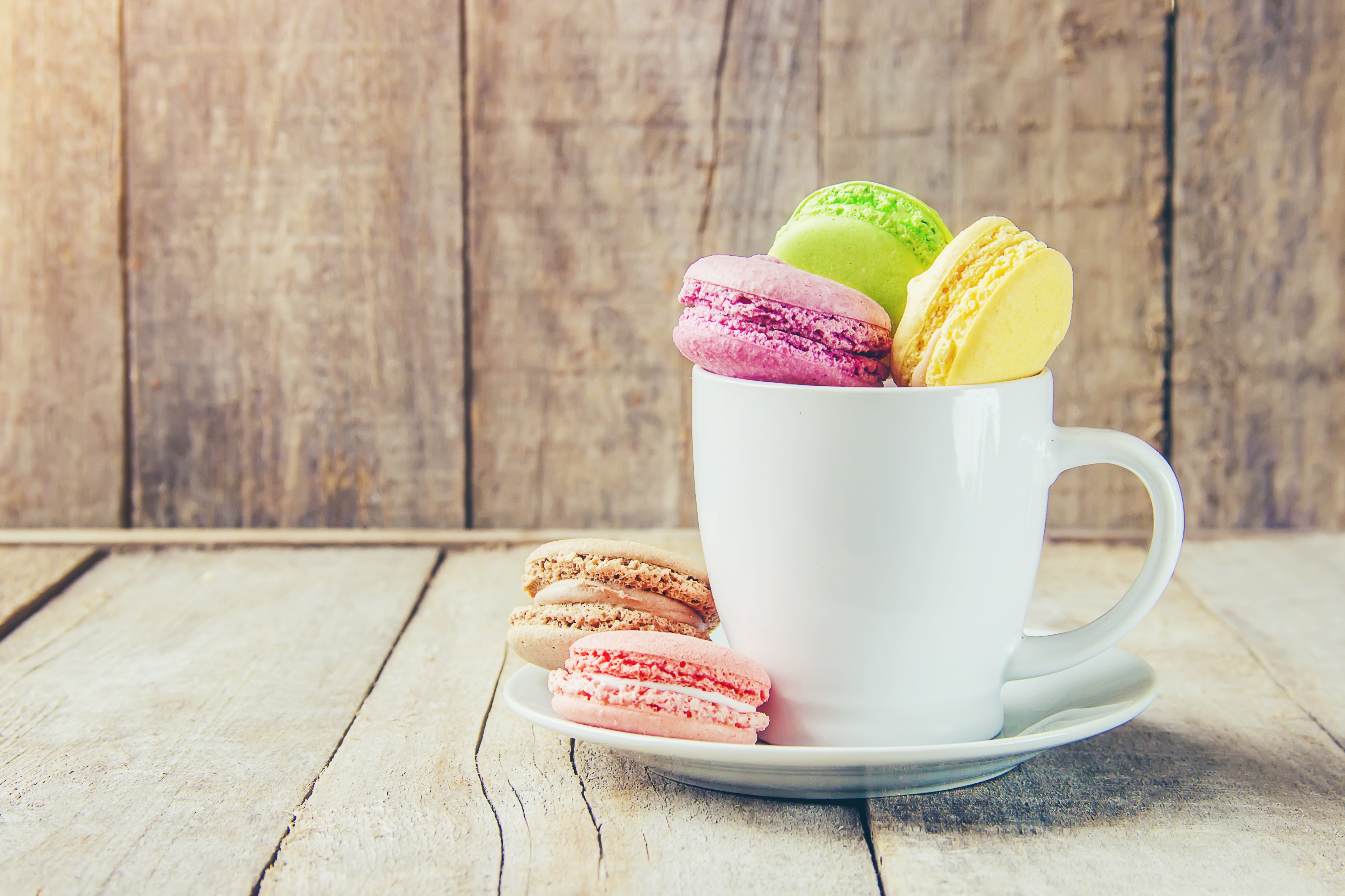 Download Still Life Cup Sweets Food Macaron 4k Ultra HD Wallpaper