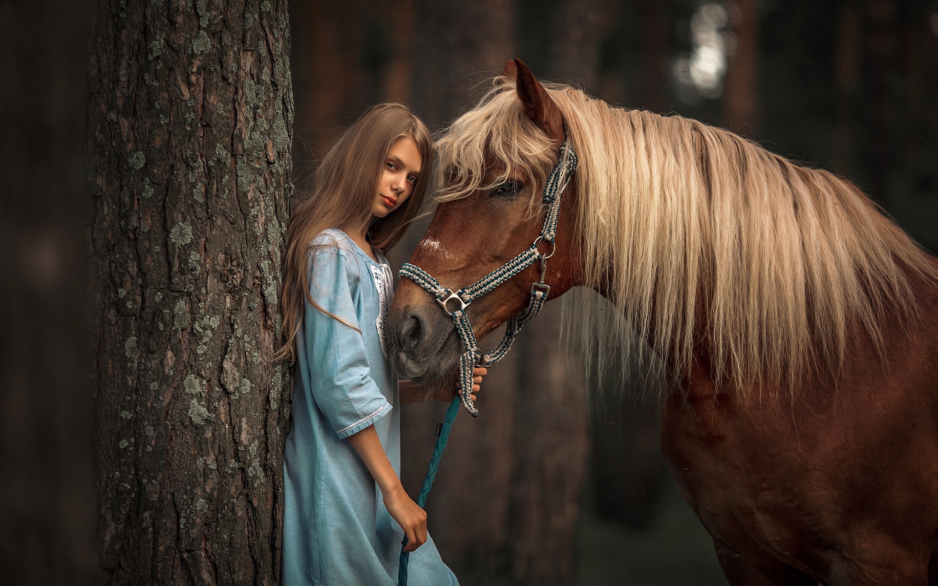 Download Brunette Long Hair Horse Woman Model HD Wallpaper