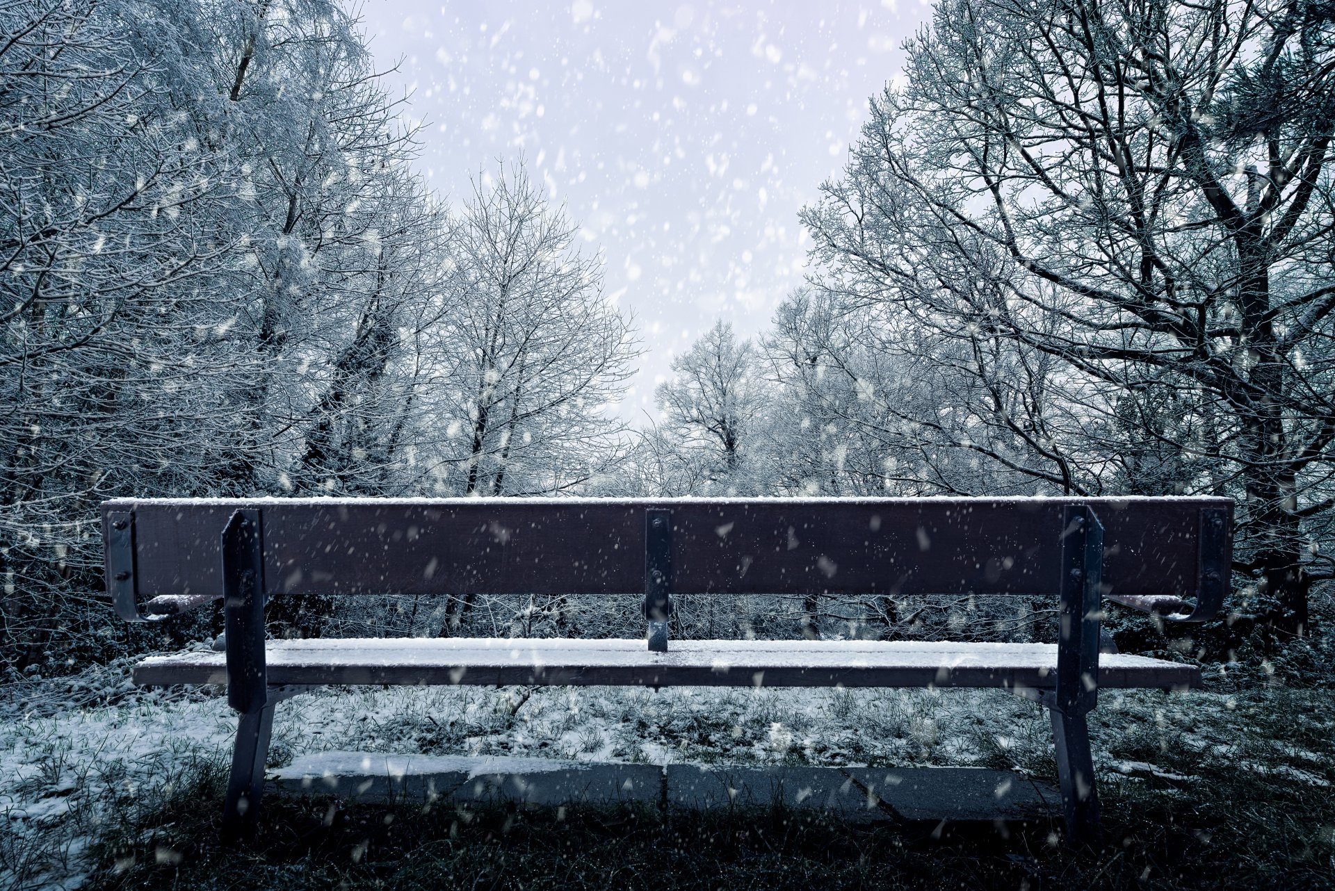 Download Snowfall Man Made Bench 4k Ultra HD Wallpaper