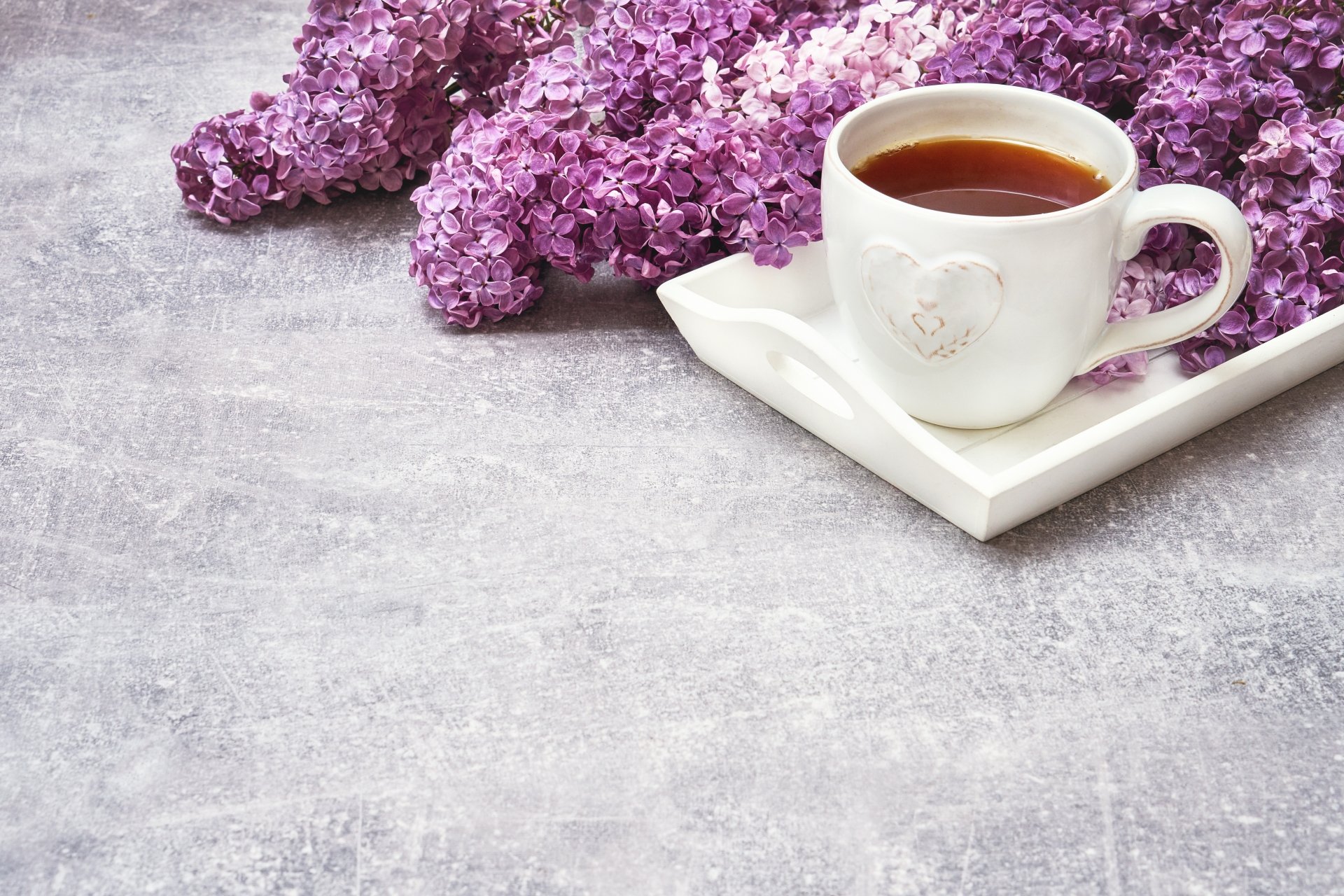 Download Drink Lilac Cup Flower Food Tea 4k Ultra HD Wallpaper