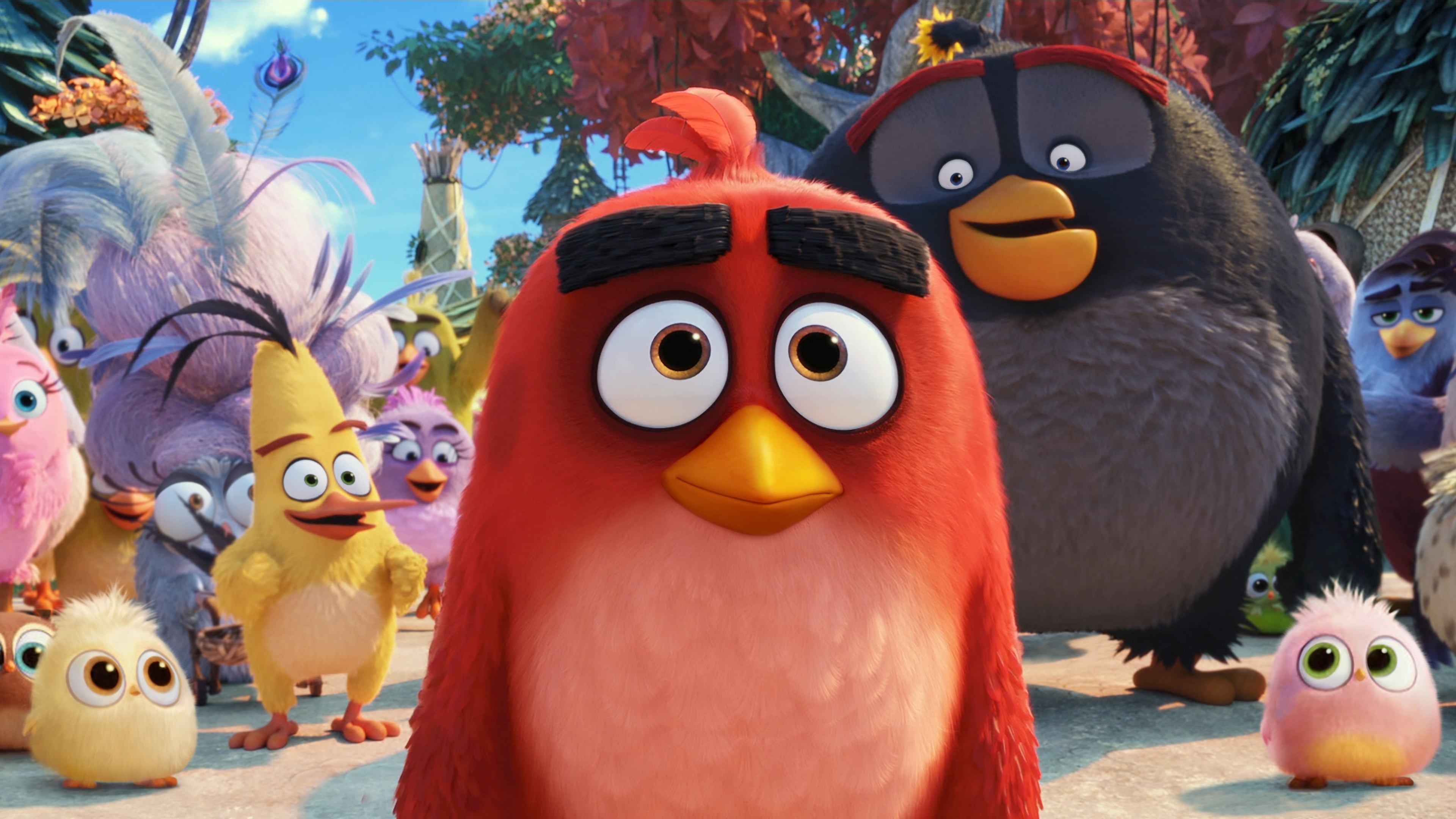 Download Movie The Angry Birds Movie 2 4k Ultra HD Wallpaper