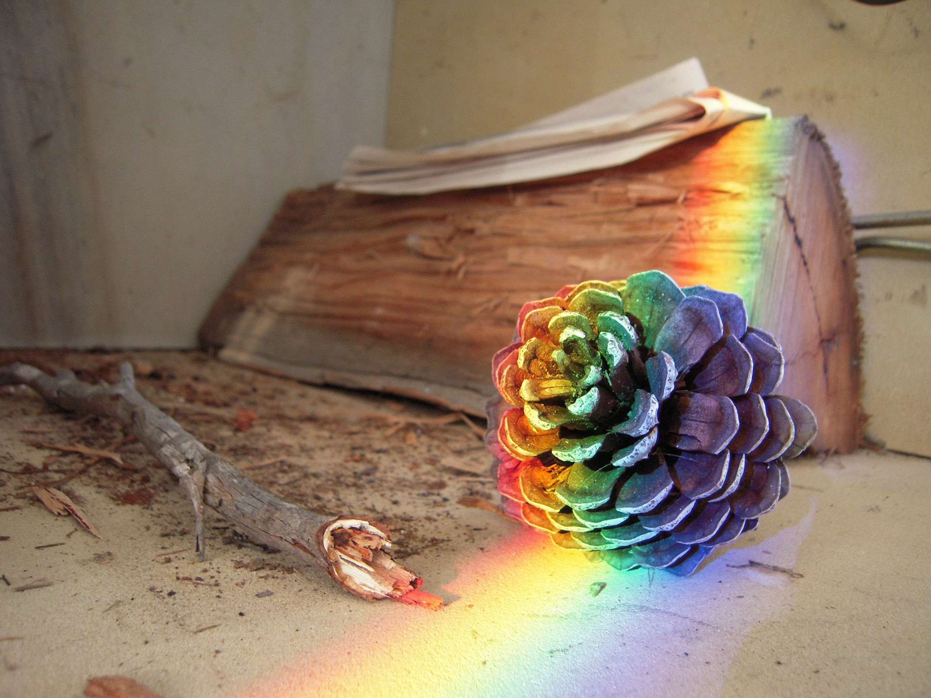Download Wood Pine Cone Rainbow Photography Colors HD Wallpaper