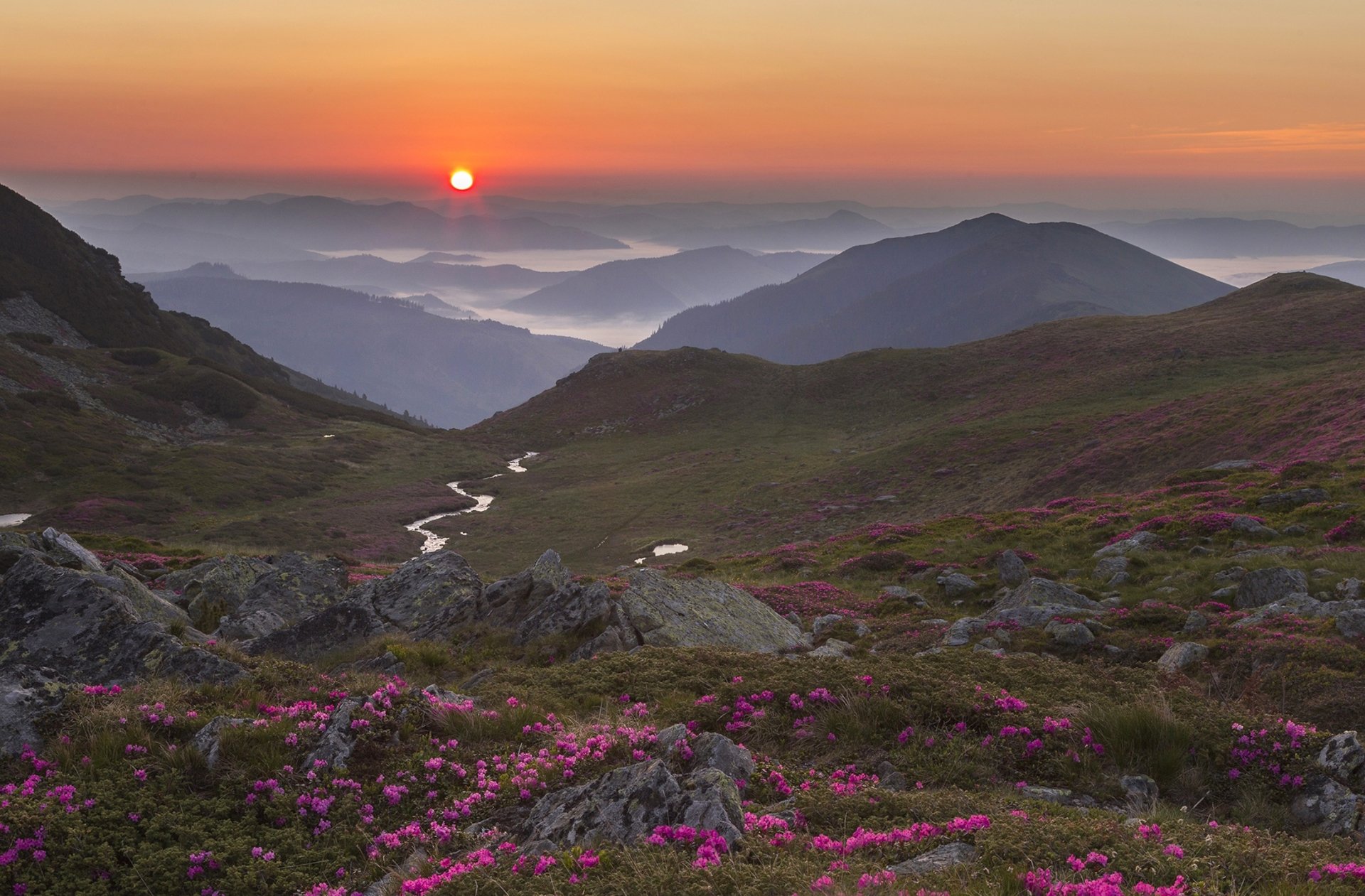 Download Mountain Horizon Sunrise Nature Landscape HD Wallpaper ...