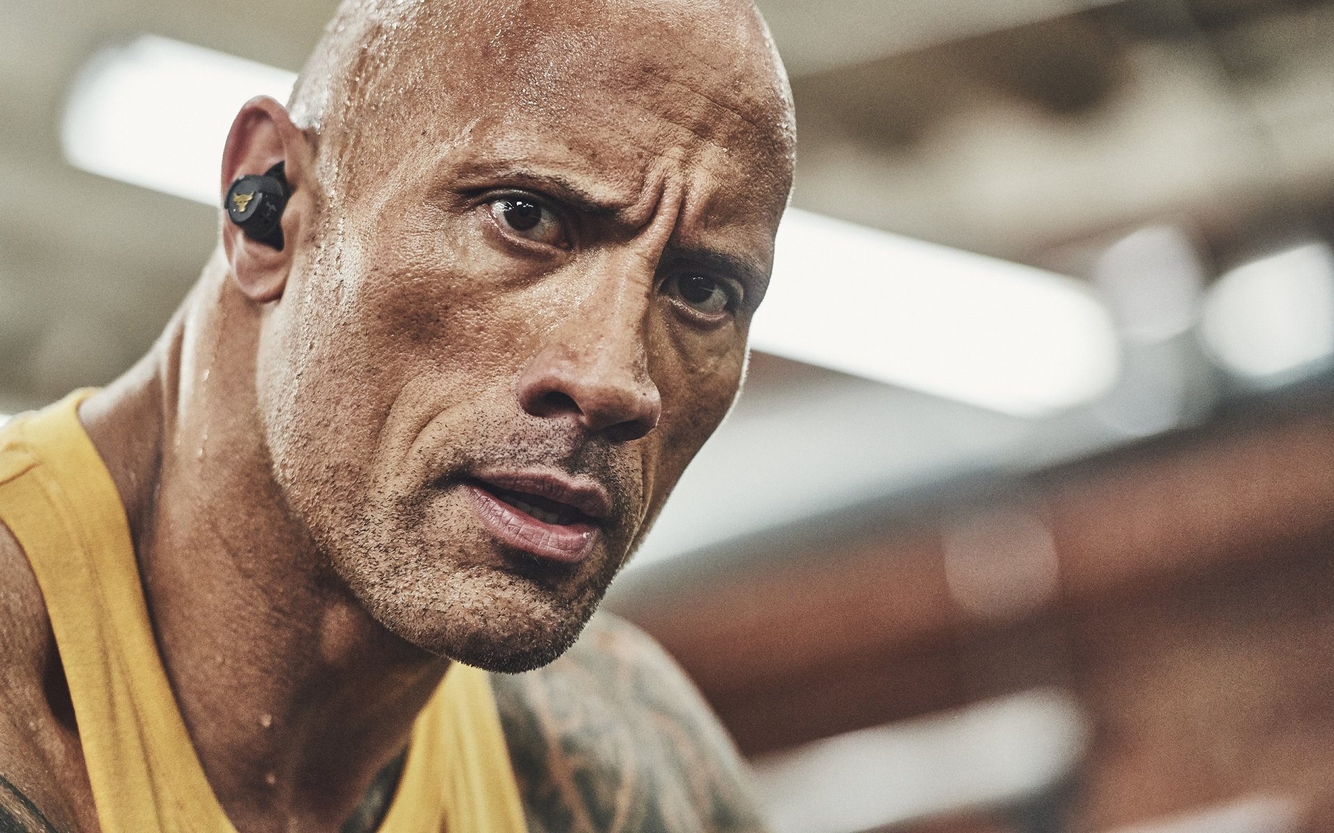 Download Stare Face American Actor Celebrity Dwayne Johnson HD Wallpaper