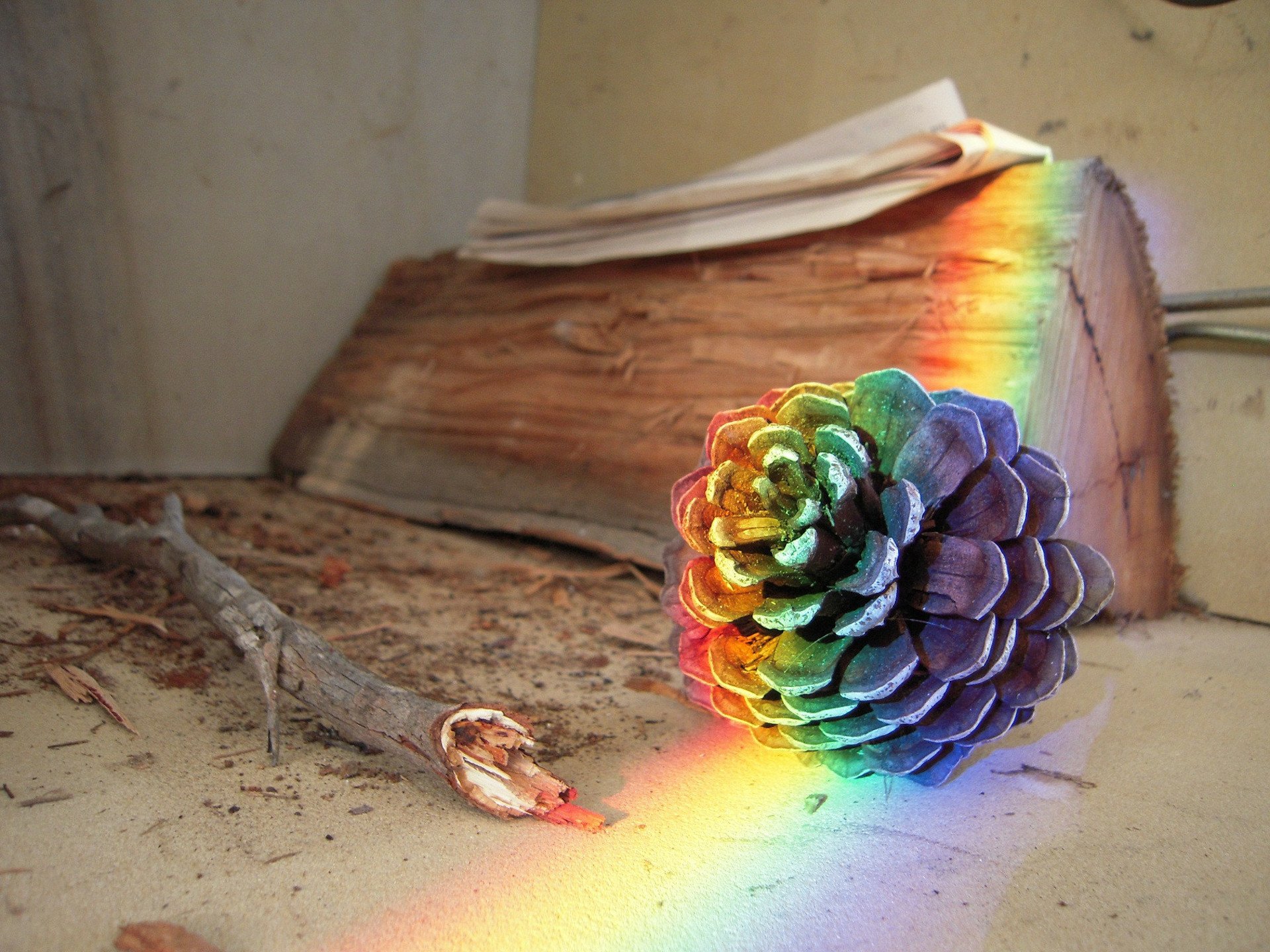 Download Wood Pine Cone Rainbow Photography Colors HD Wallpaper