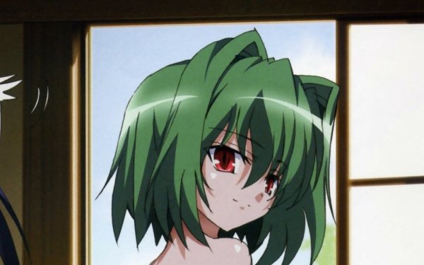 Shizuku (Omamori Himari) 4k Ultra HD Wallpaper | Background Image ...