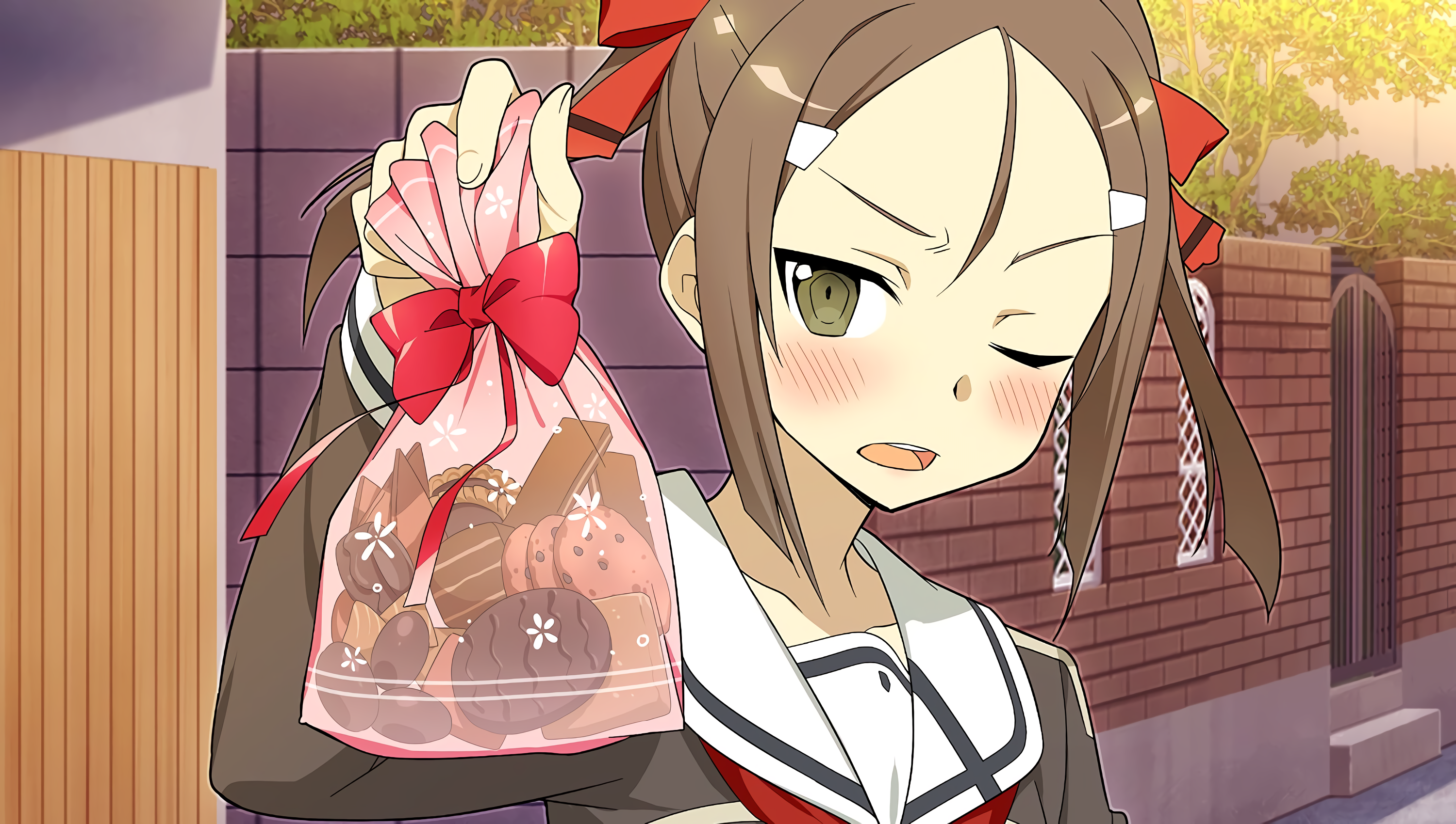 Anime Yuki Yuna is a Hero HD Wallpaper