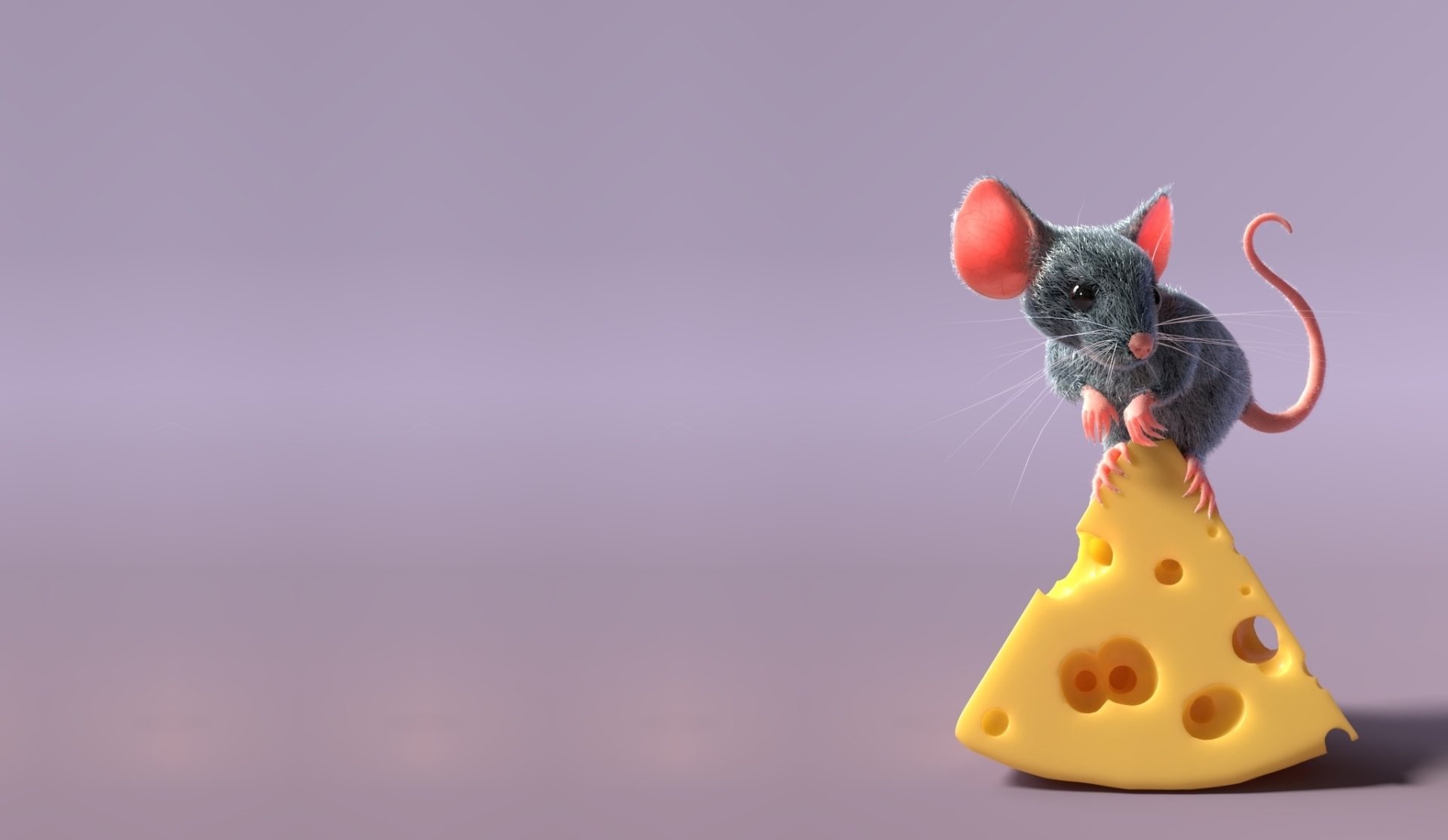 Download Cheese Rodent Animal Mouse HD Wallpaper