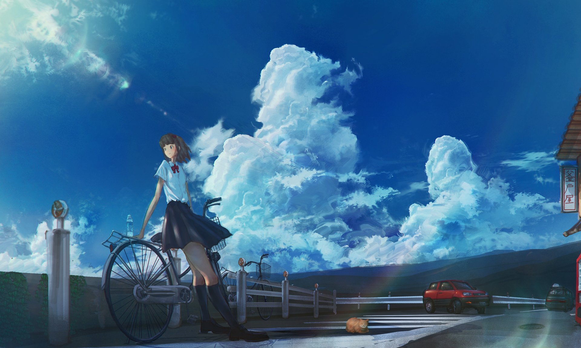 Skyward Ride: Anime Cat, Bicycle & Red Car — HD Wallpaper by ナコモ