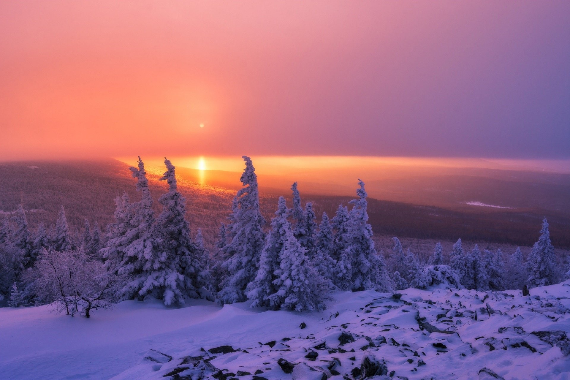 Winter Sunset Serenity: HD Forest Landscape Under a Vibrant Sky ...