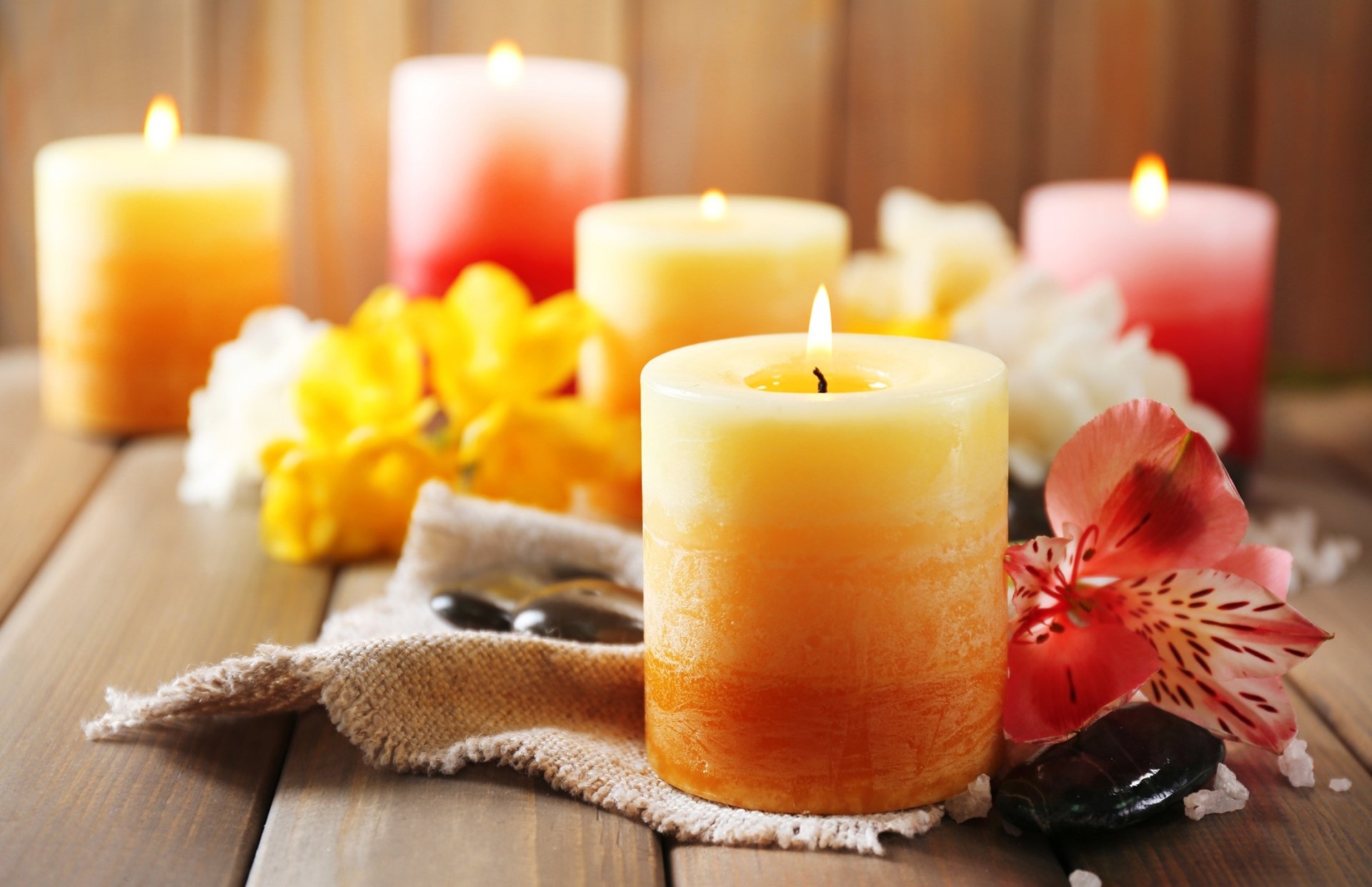 Download Flower Photography Candle HD Wallpaper