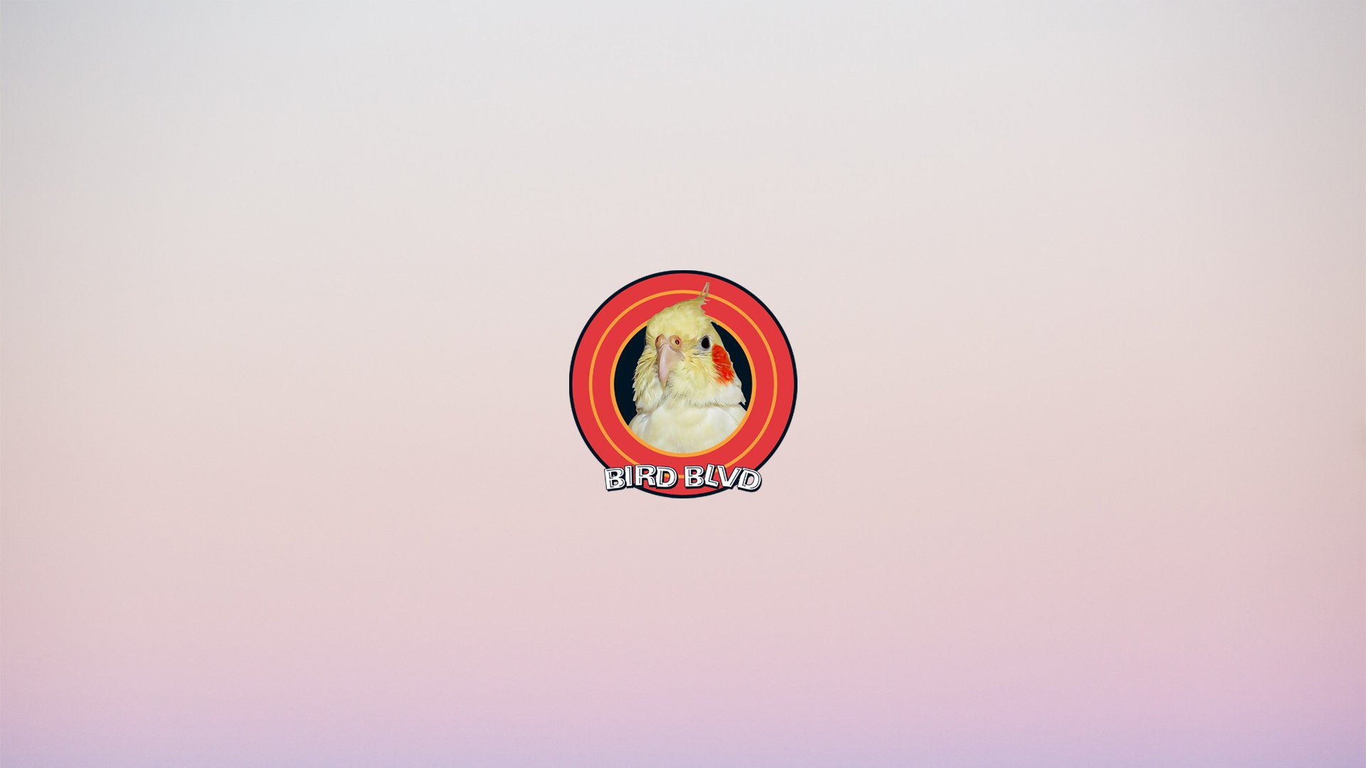 Bird Blvd - Taiyo the cockatiel by Bird Blvd Media