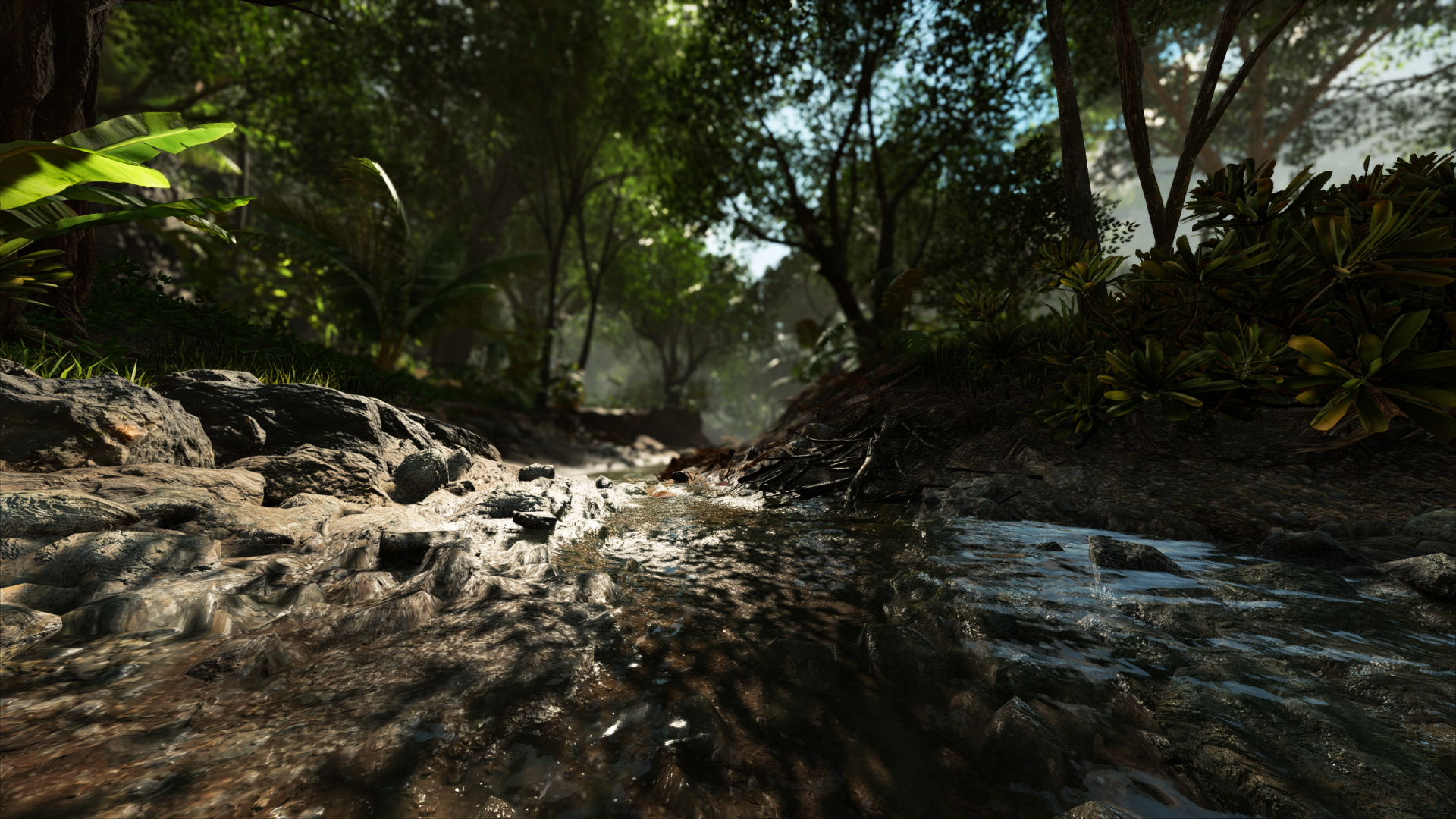Download Forest Video Game Battlefield V HD Wallpaper by FLX-II