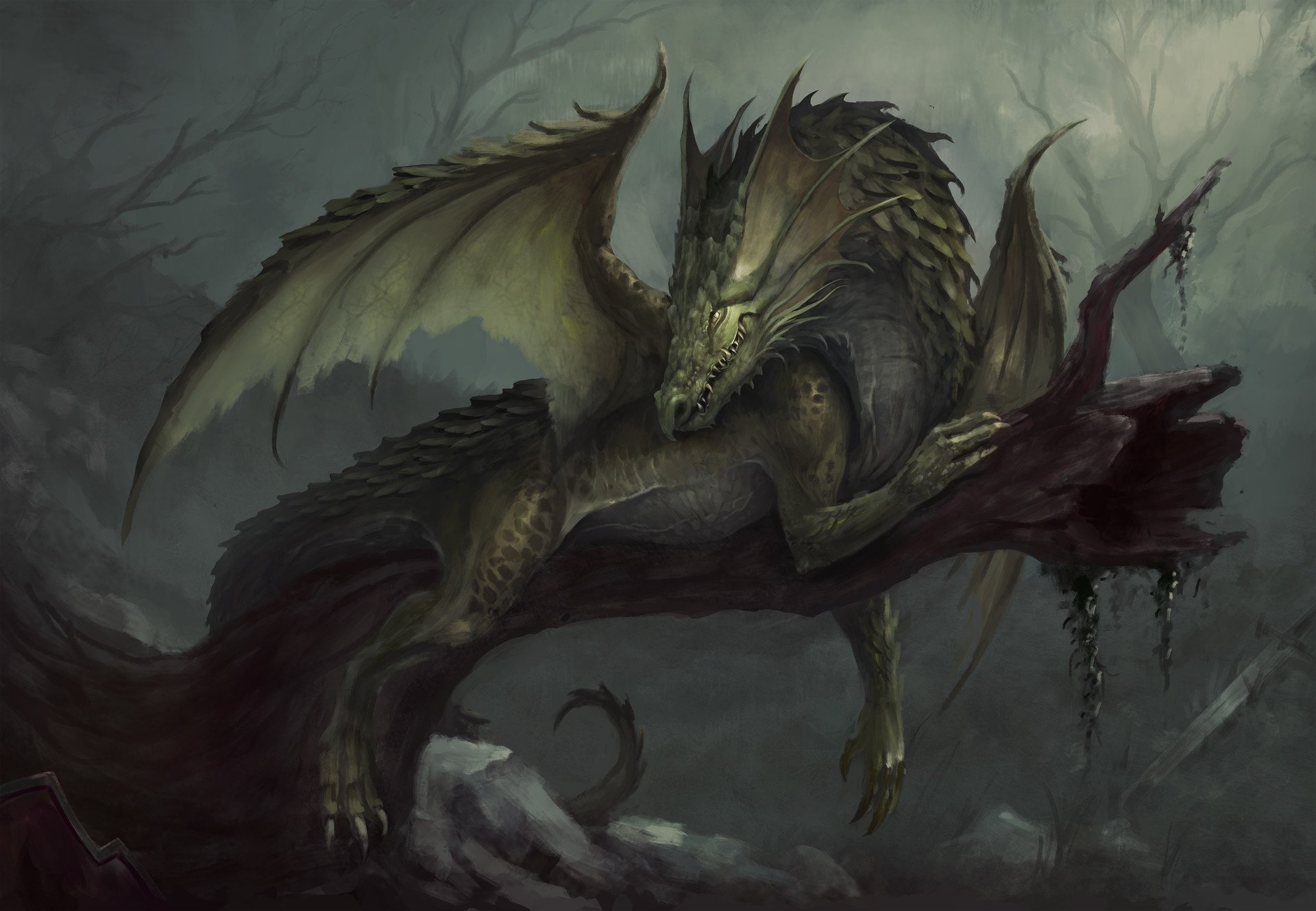 Download Fantasy Dragon HD Wallpaper by Nicolás Espinoza | 1920x1329 ...