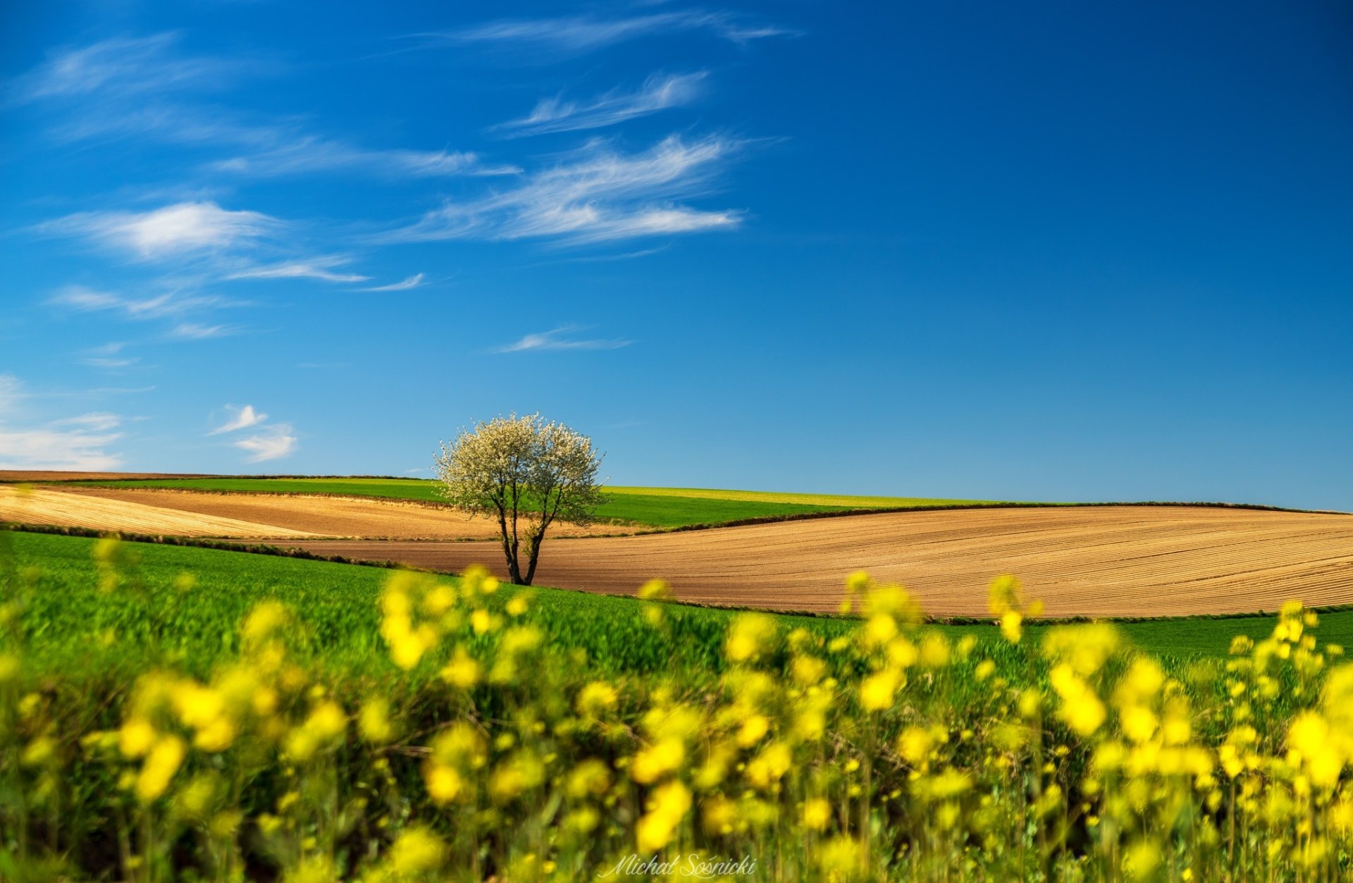 Download Sky Summer Nature Field HD Wallpaper | 2048x1336 | Wallpaper Abyss