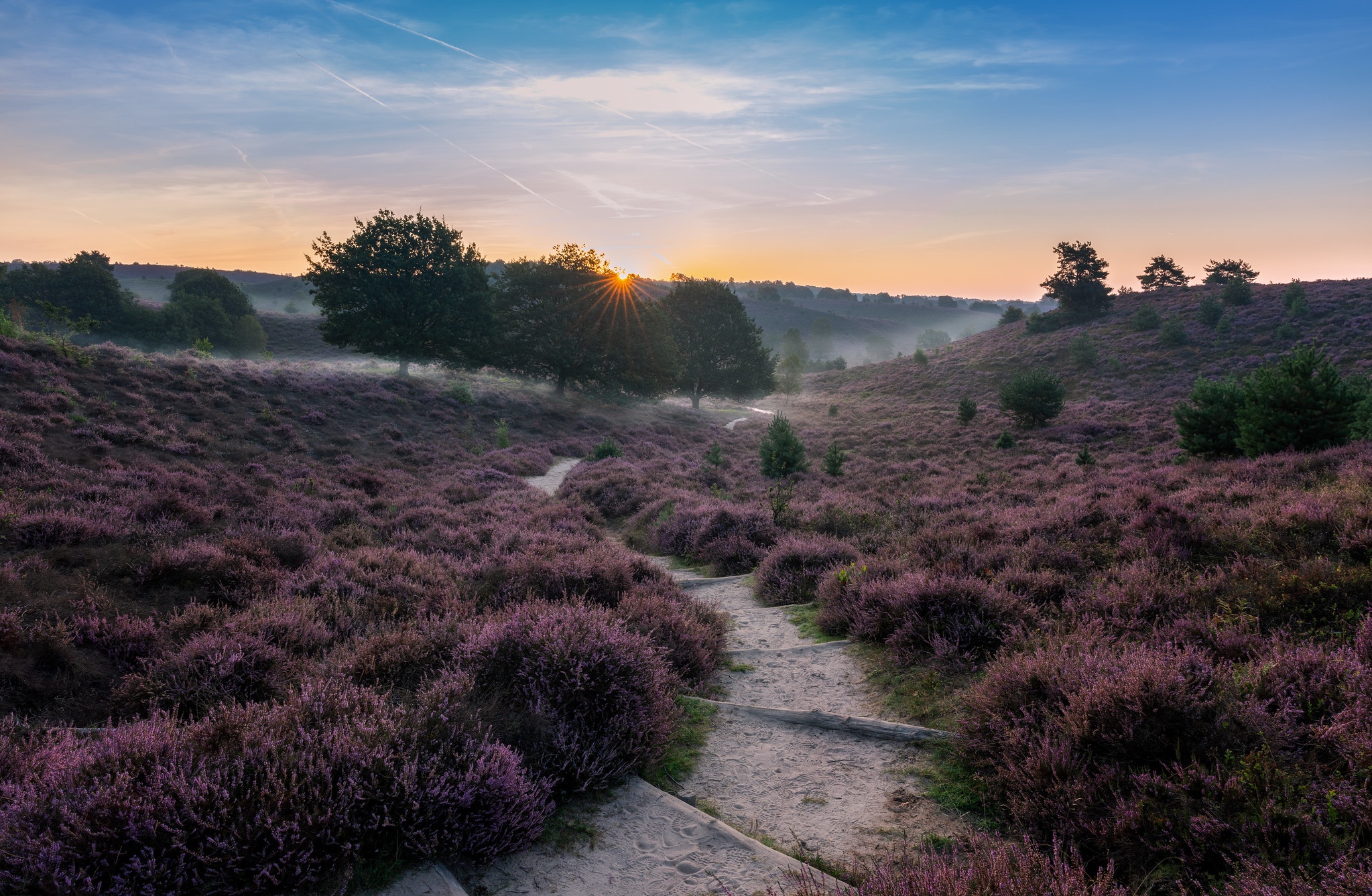 Download Sunrise Nature Path HD Wallpaper