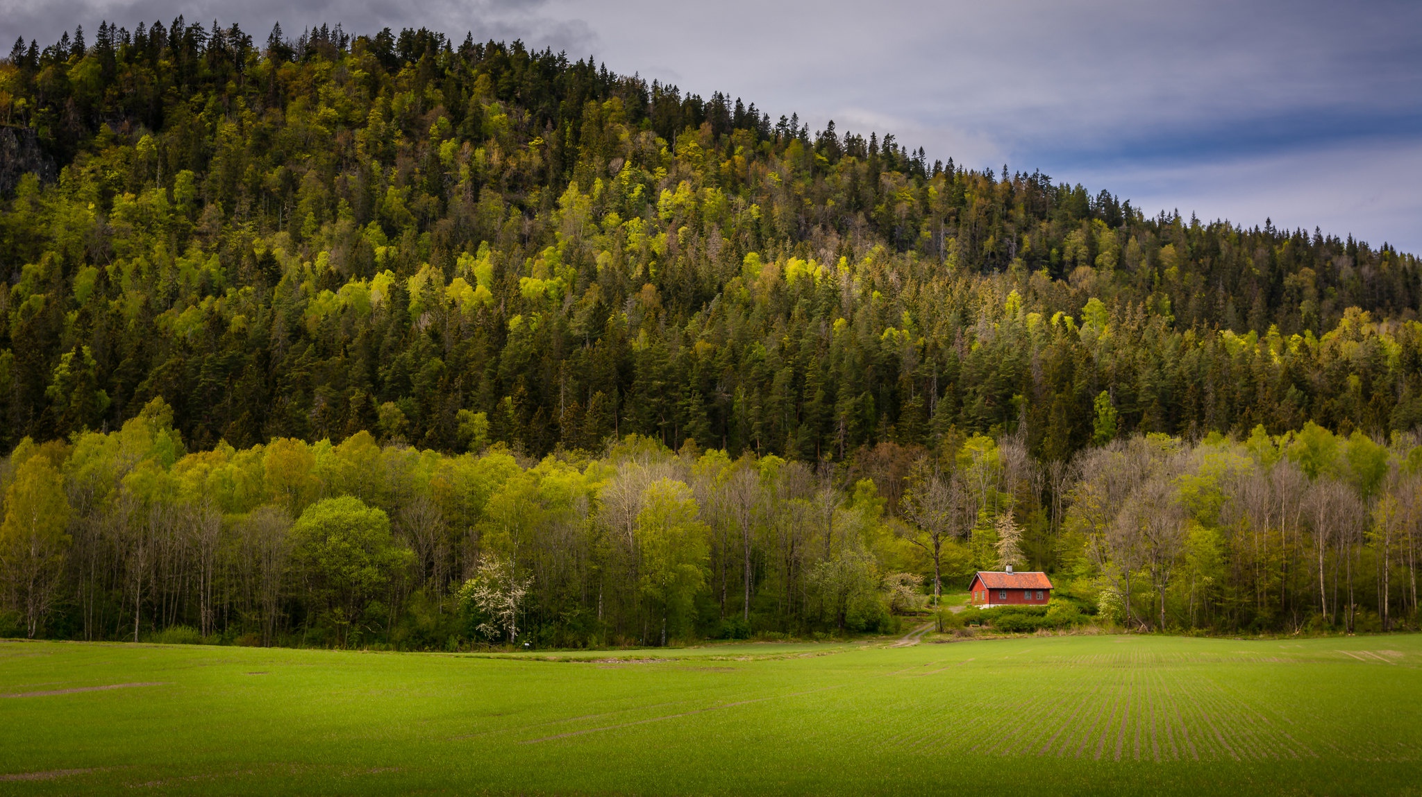 Download House Forest Field Photography Landscape HD Wallpaper