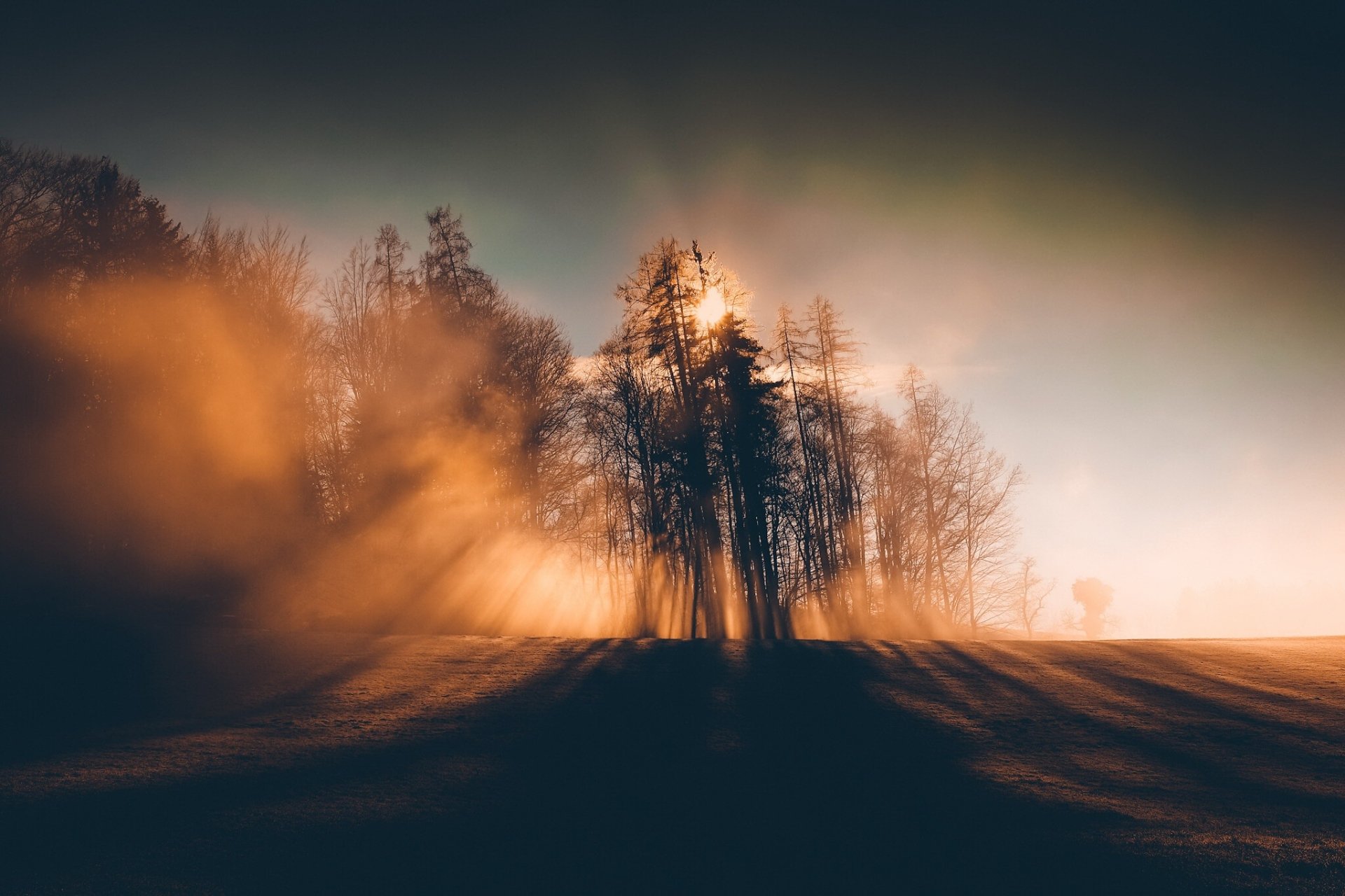 Download Nature Fog HD Wallpaper