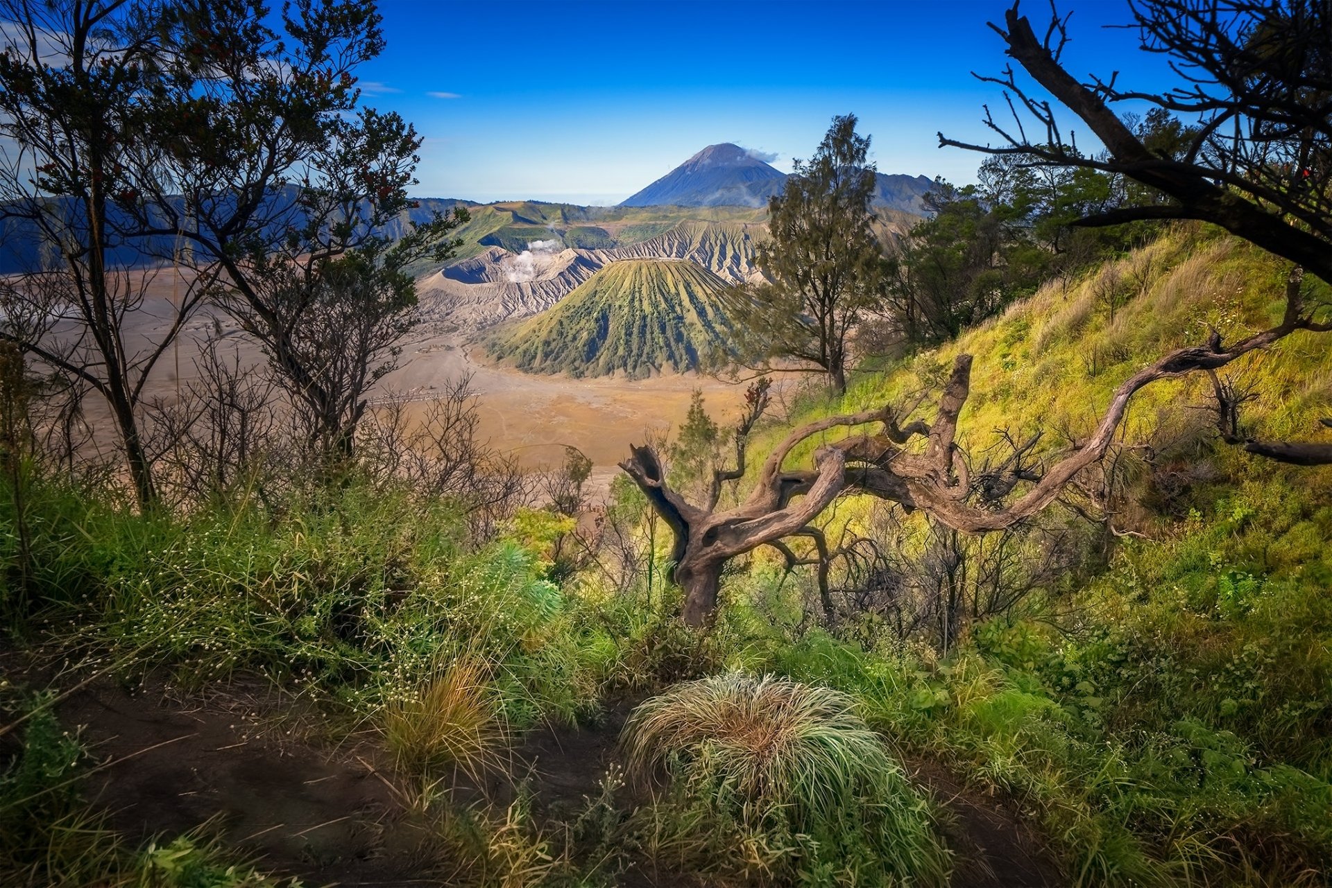 Download Nature Mount Bromo HD Wallpaper