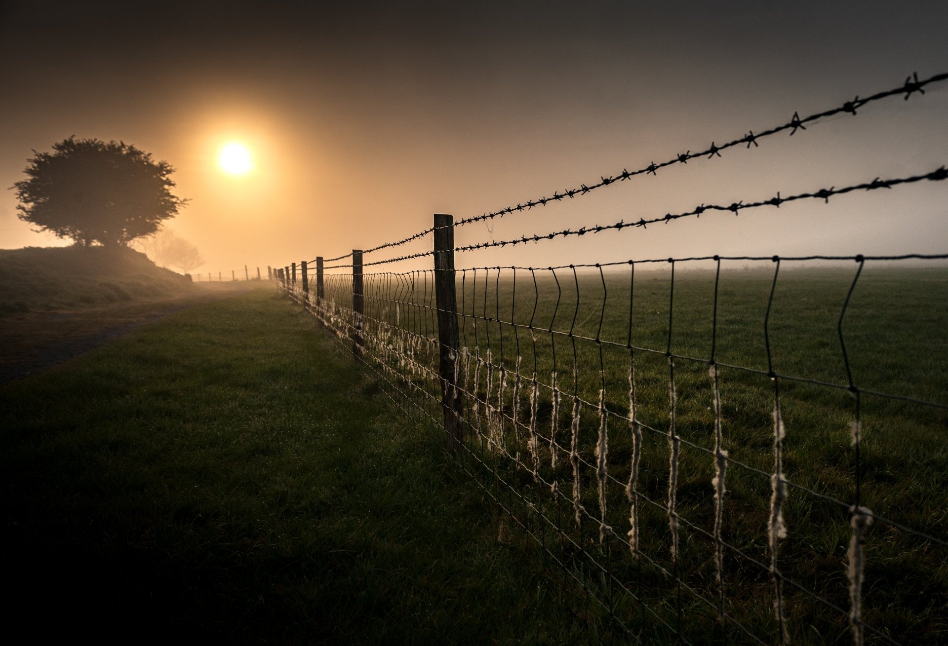 Download Fog Field Man Made Fence HD Wallpaper
