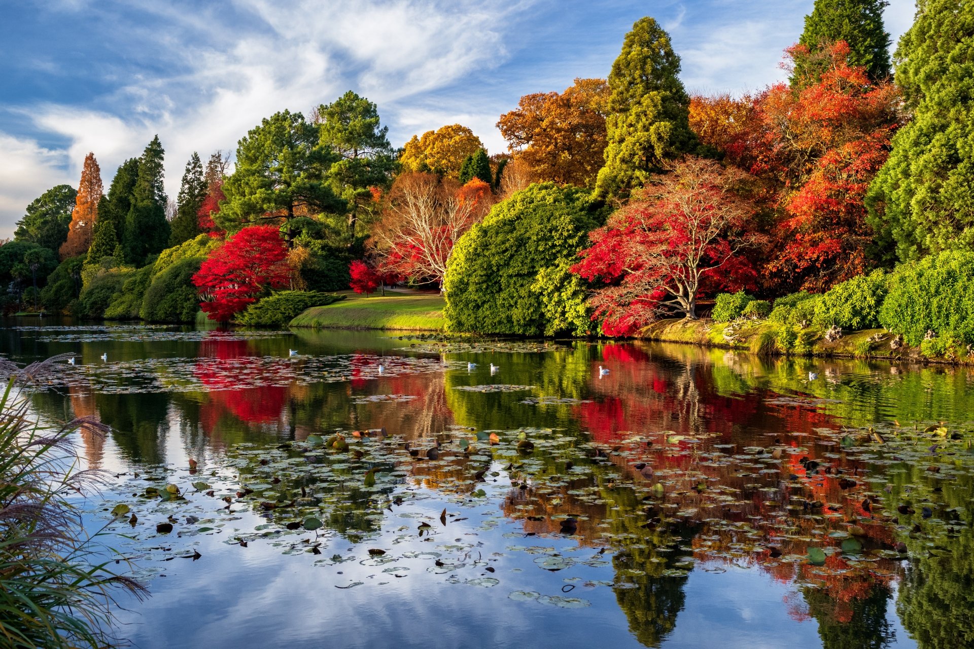Enchanting England: 4K Ultra HD Autumn Park and Pond Landscape ...