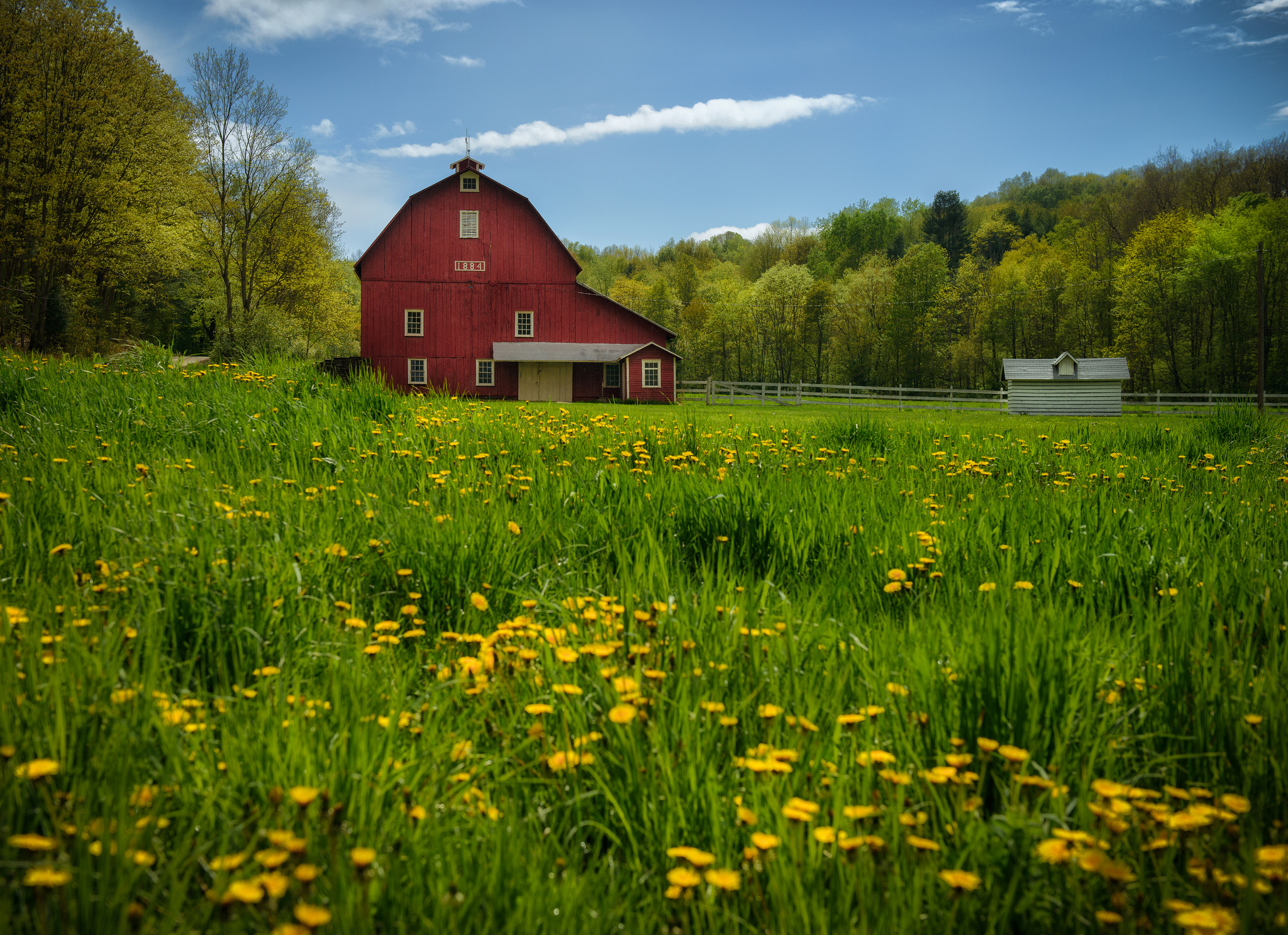 Download Pennsylvania Dandelion Meadow Man Made Barn HD Wallpaper