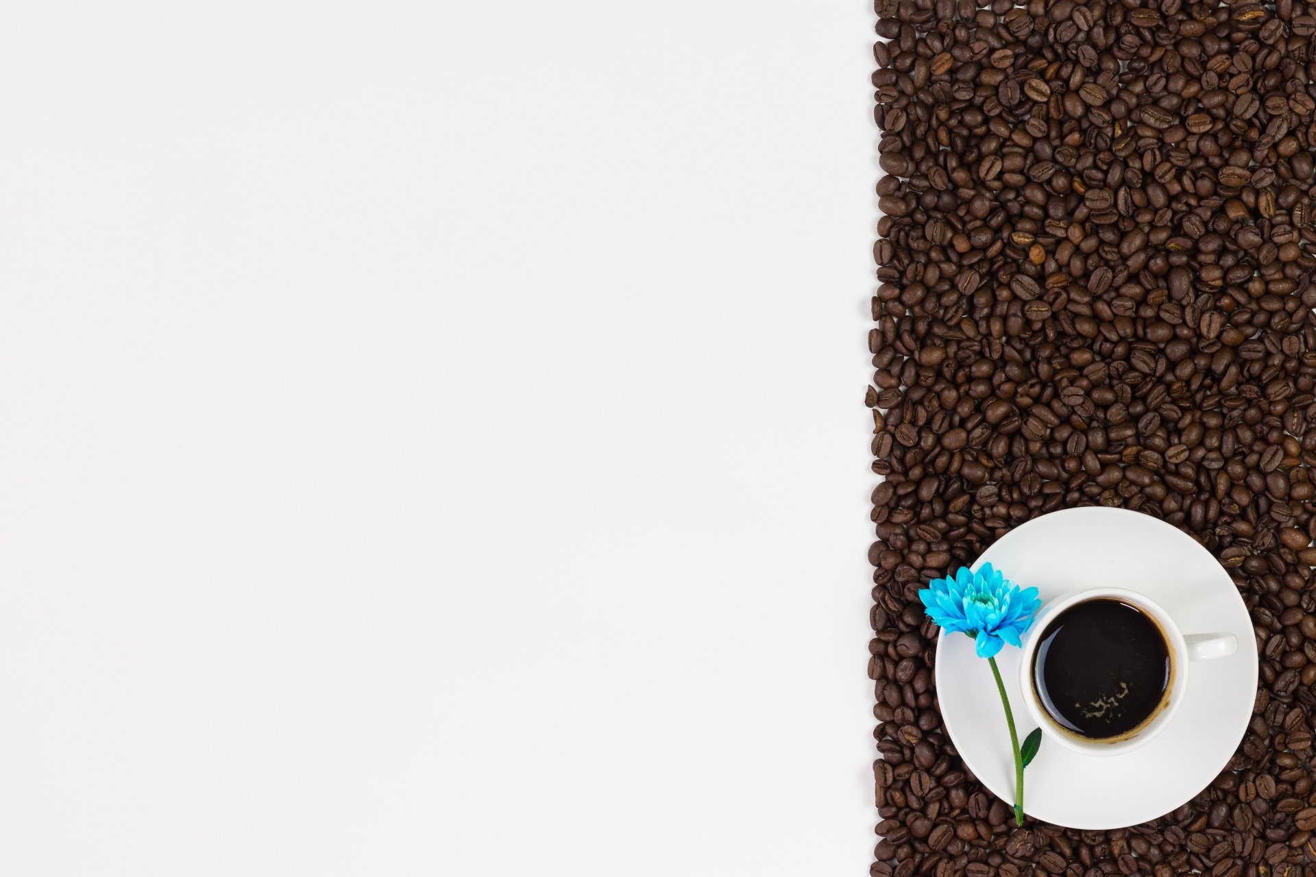 Download Coffee Beans Cup Drink Flower Food Coffee 4k Ultra HD ...