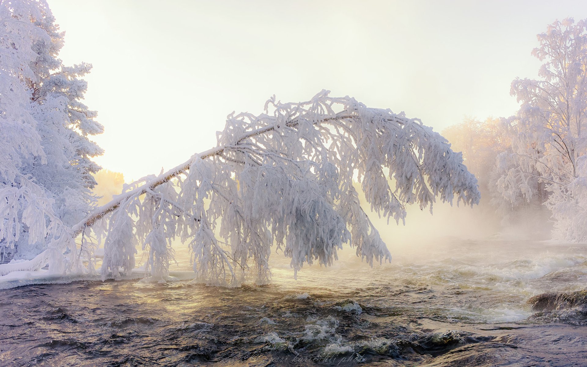 Winter Frost on River Trees – Stunning HD Nature Wallpaper | 1920x1200 ...