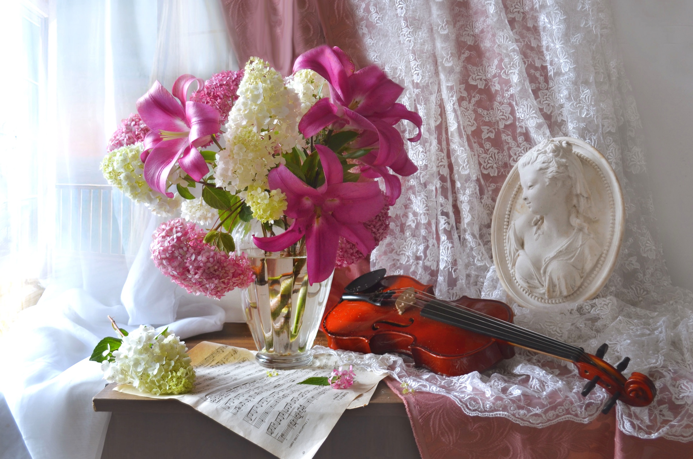 Download Sheet Music Violin Lily Hydrangea Vase Photography Still Life ...