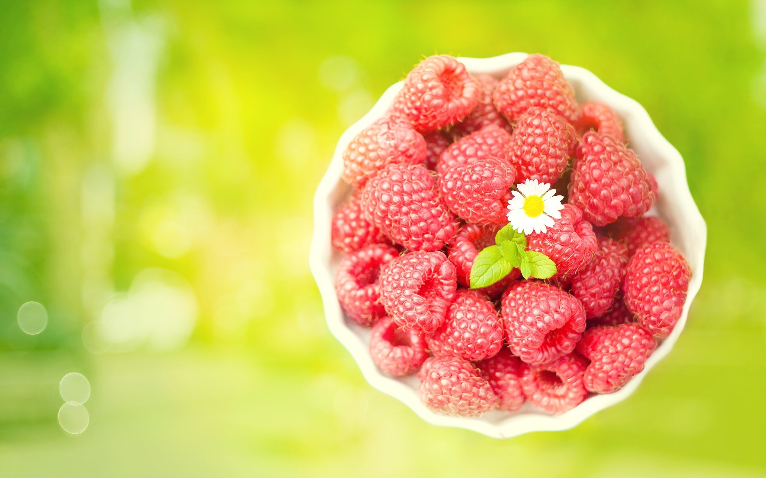 Download Bokeh Berry Food Raspberry HD Wallpaper