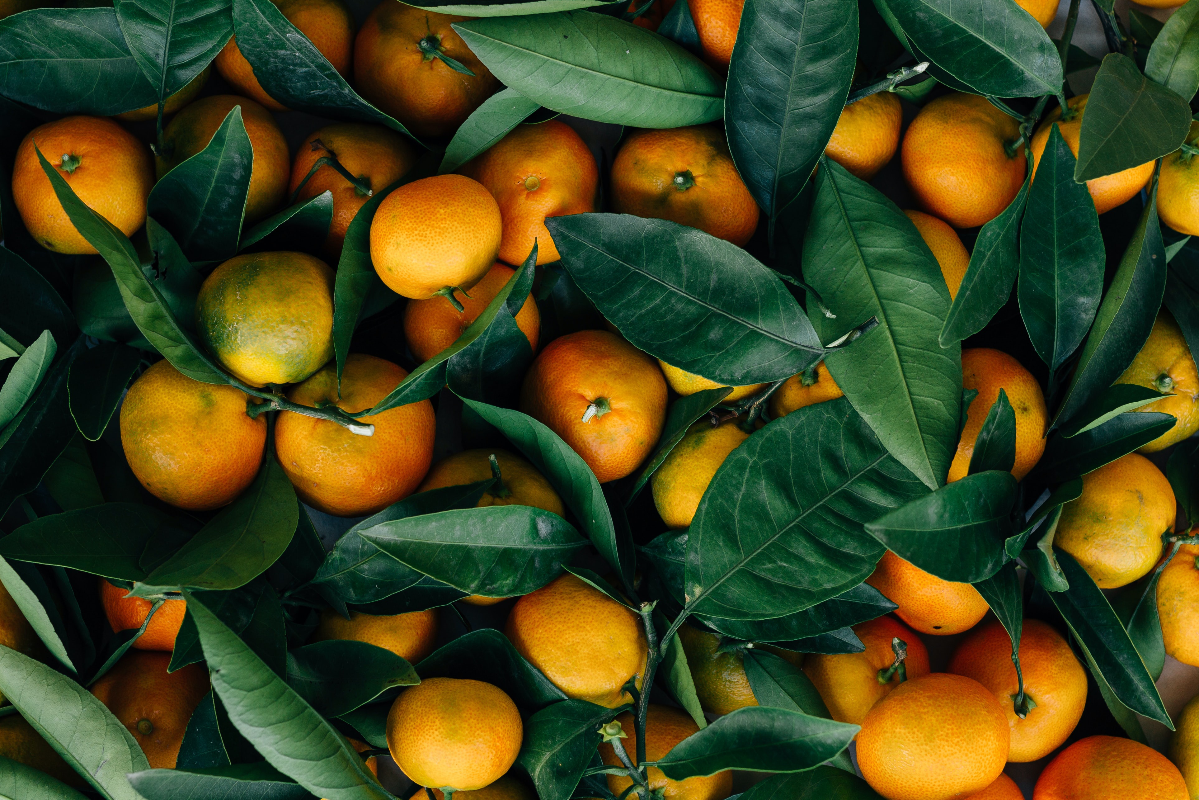 Download Fruit Food Mandarin 4k Ultra HD Wallpaper