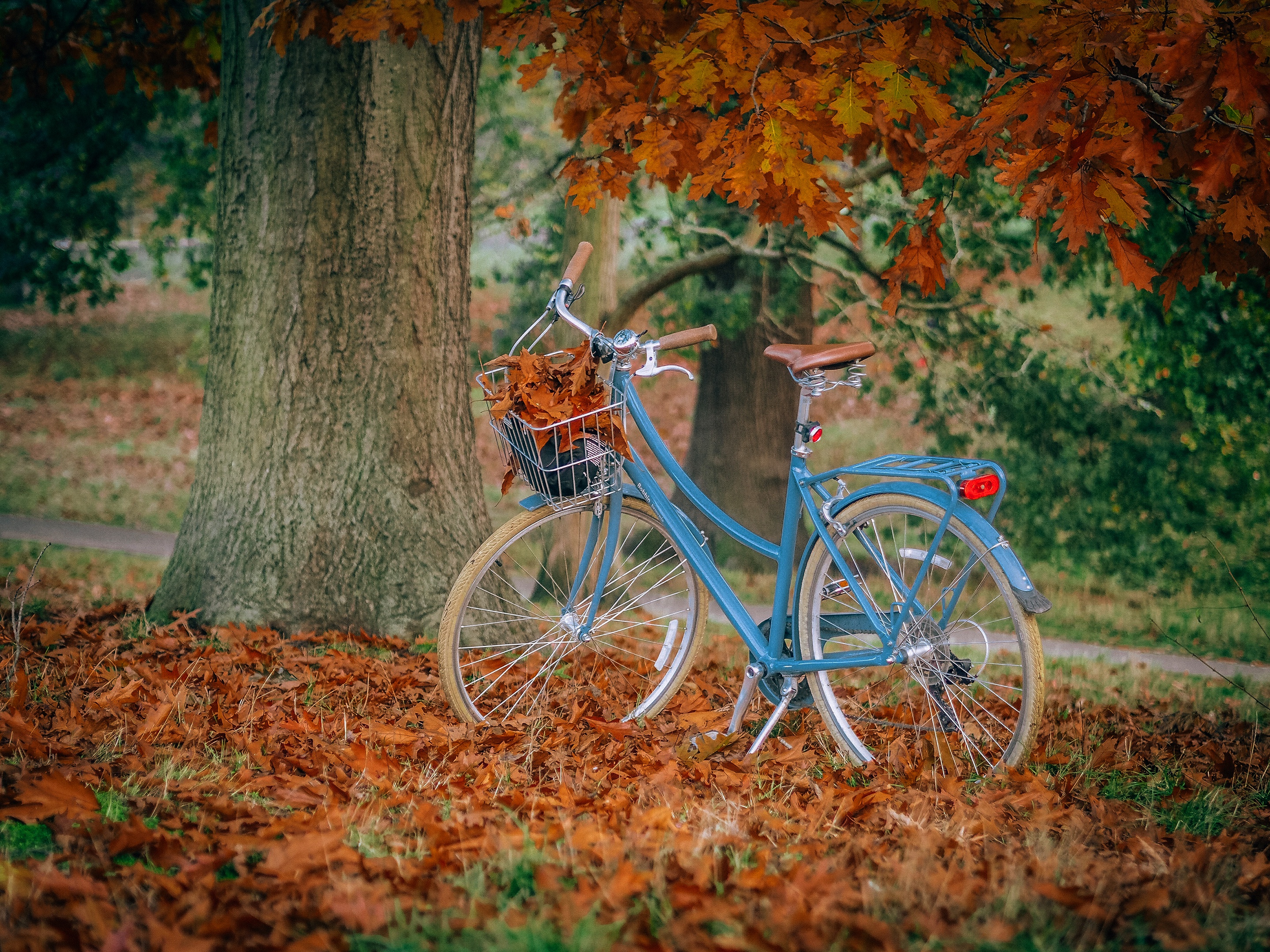 Download Fall Vehicle Bicycle HD Wallpaper