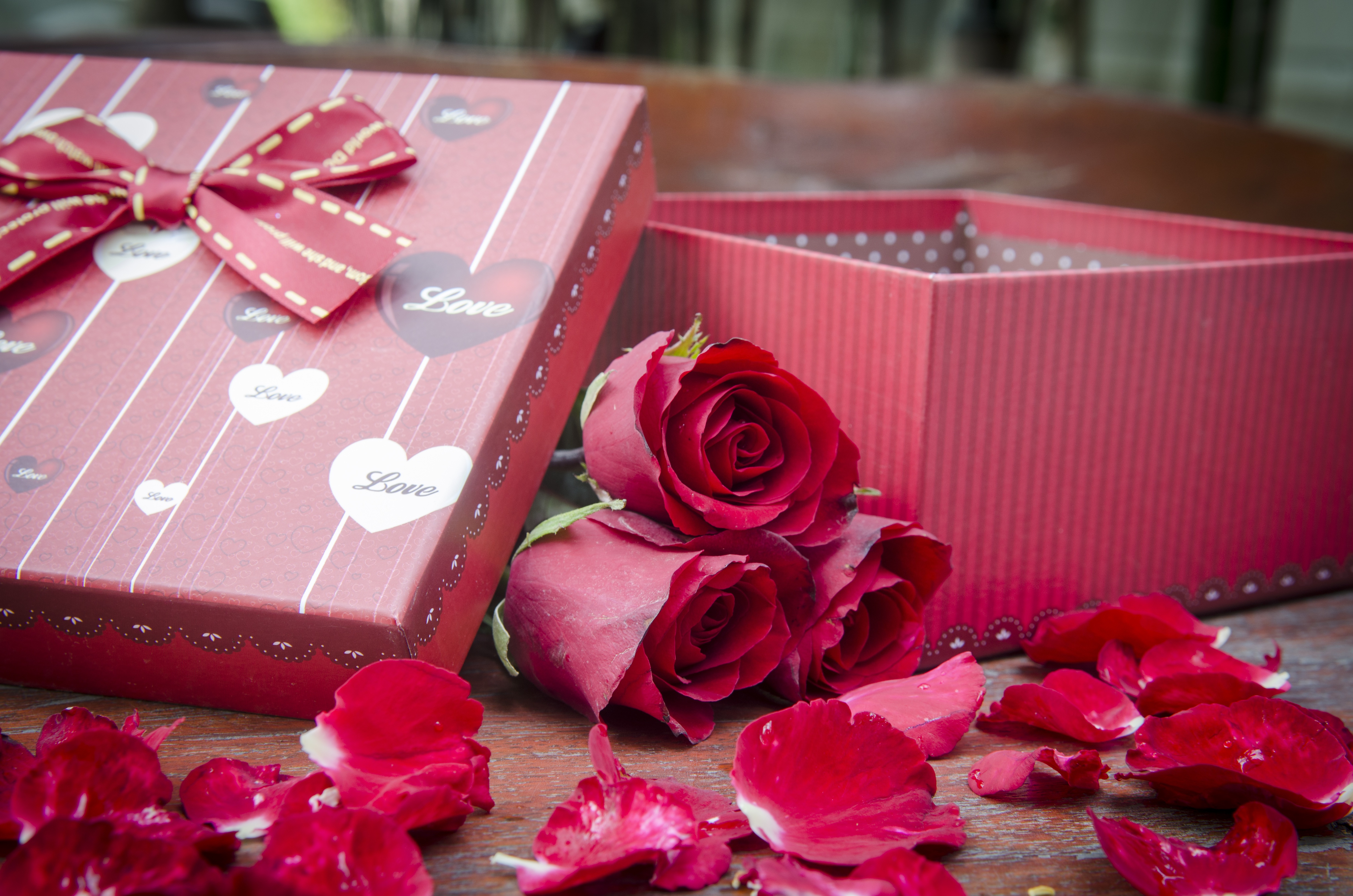 Download Rose Love Gift Flower Holiday Valentine's Day 4k Ultra HD ...