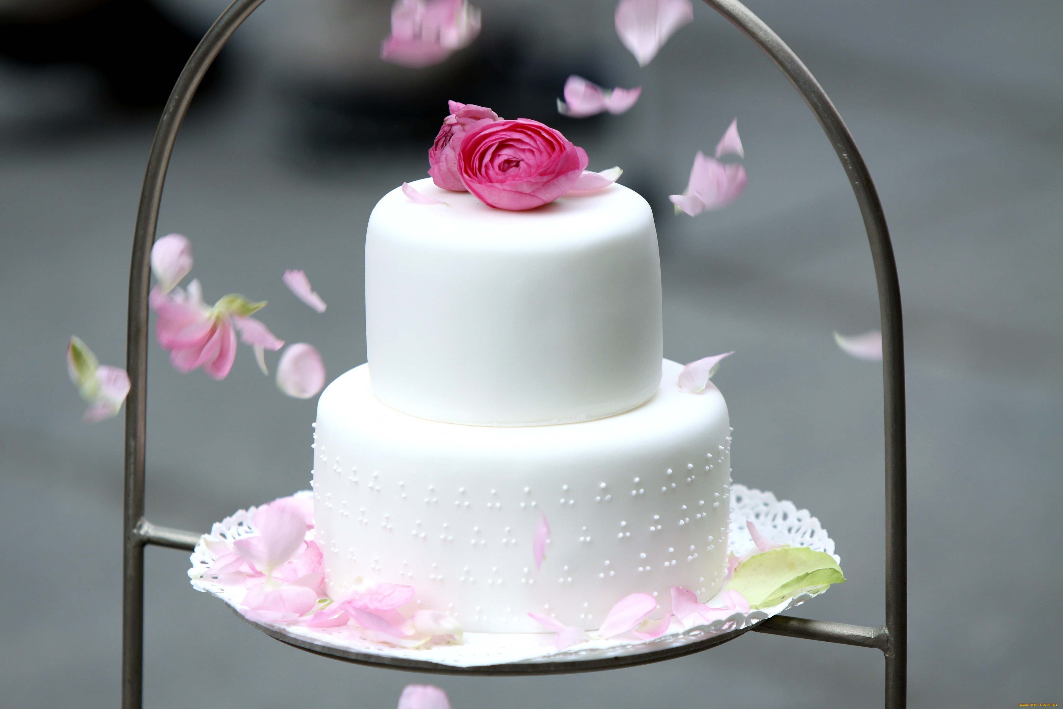 Download Dessert Sweets Flower Food Cake HD Wallpaper