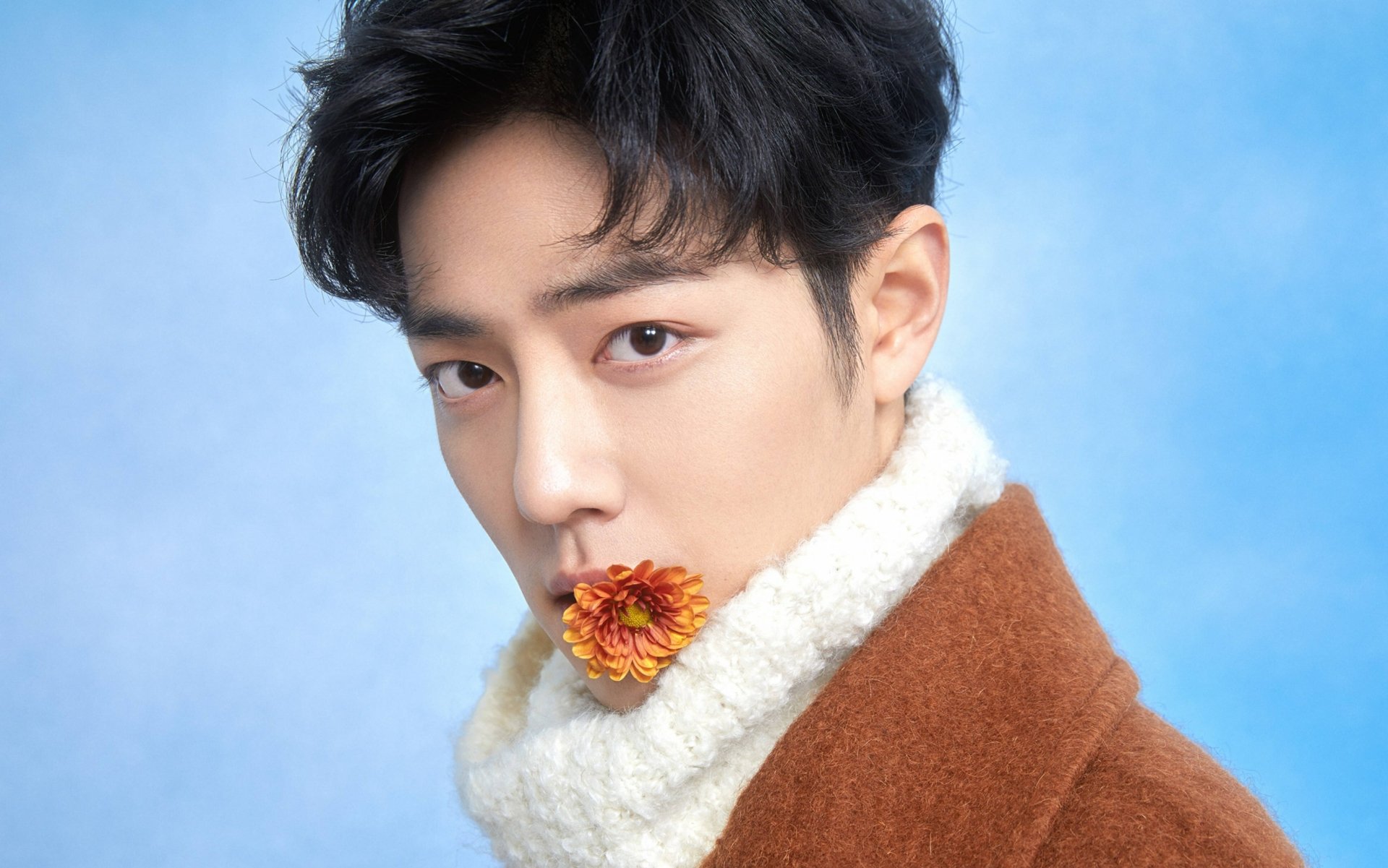 Download Celebrity Xiao Zhan HD Wallpaper