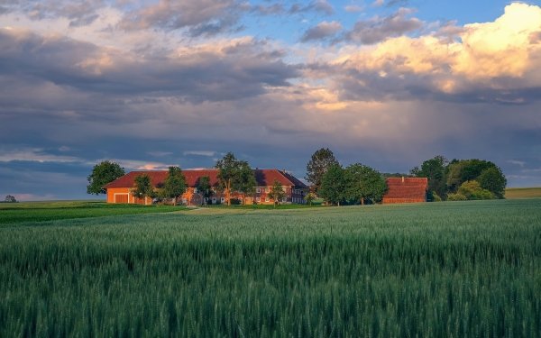 Farm HD Wallpaper | Background Image | 1920x1200