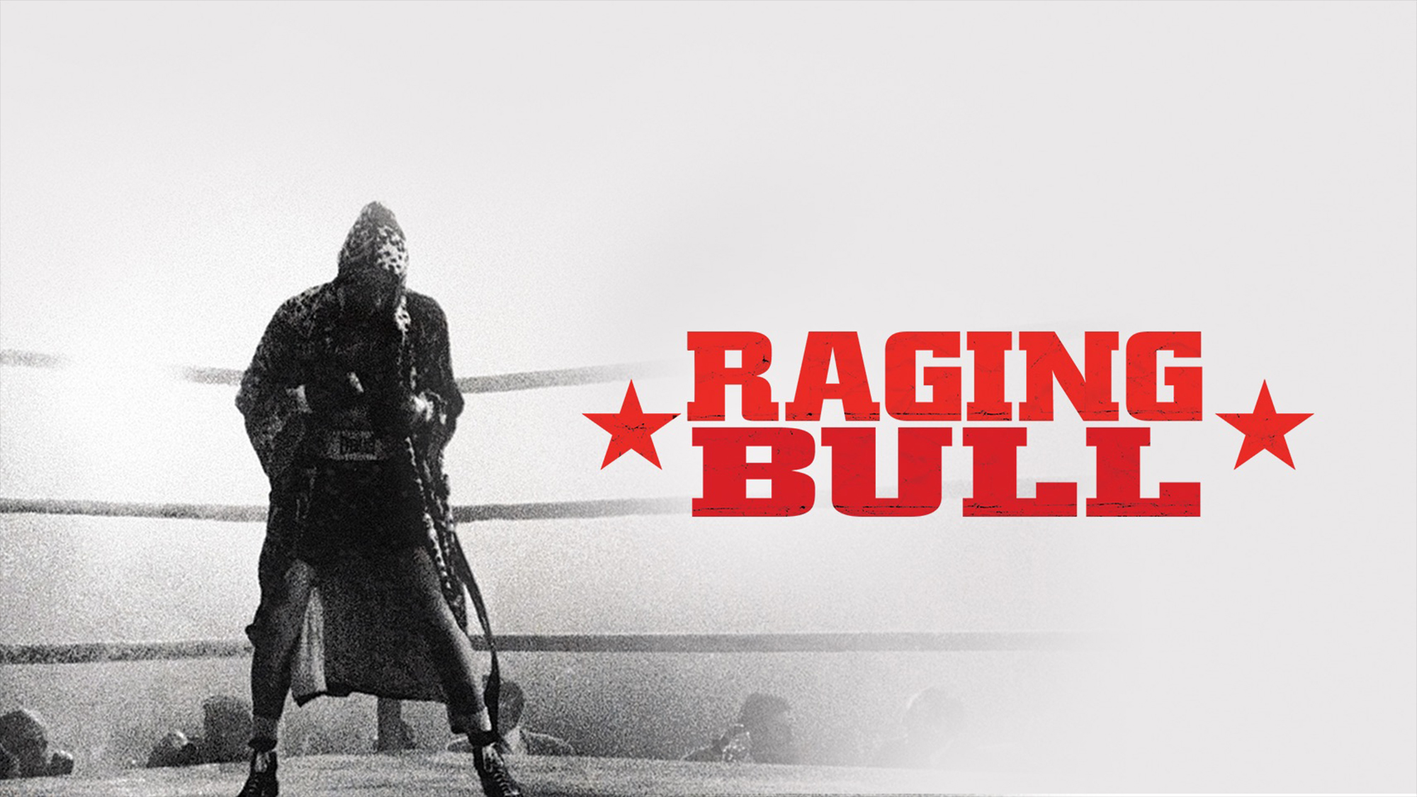 Raging Bull HD Wallpaper