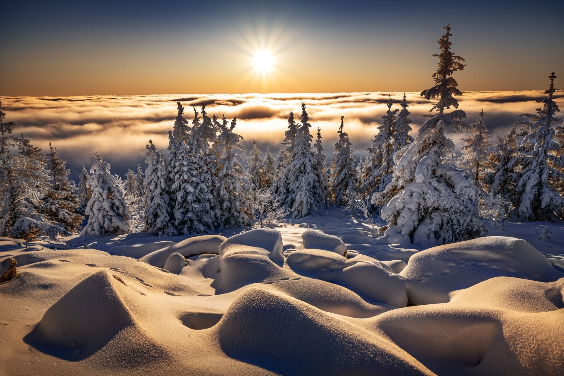 Download Nature Landscape Snow Sunbeam Fog Sun Winter HD Wallpaper ...