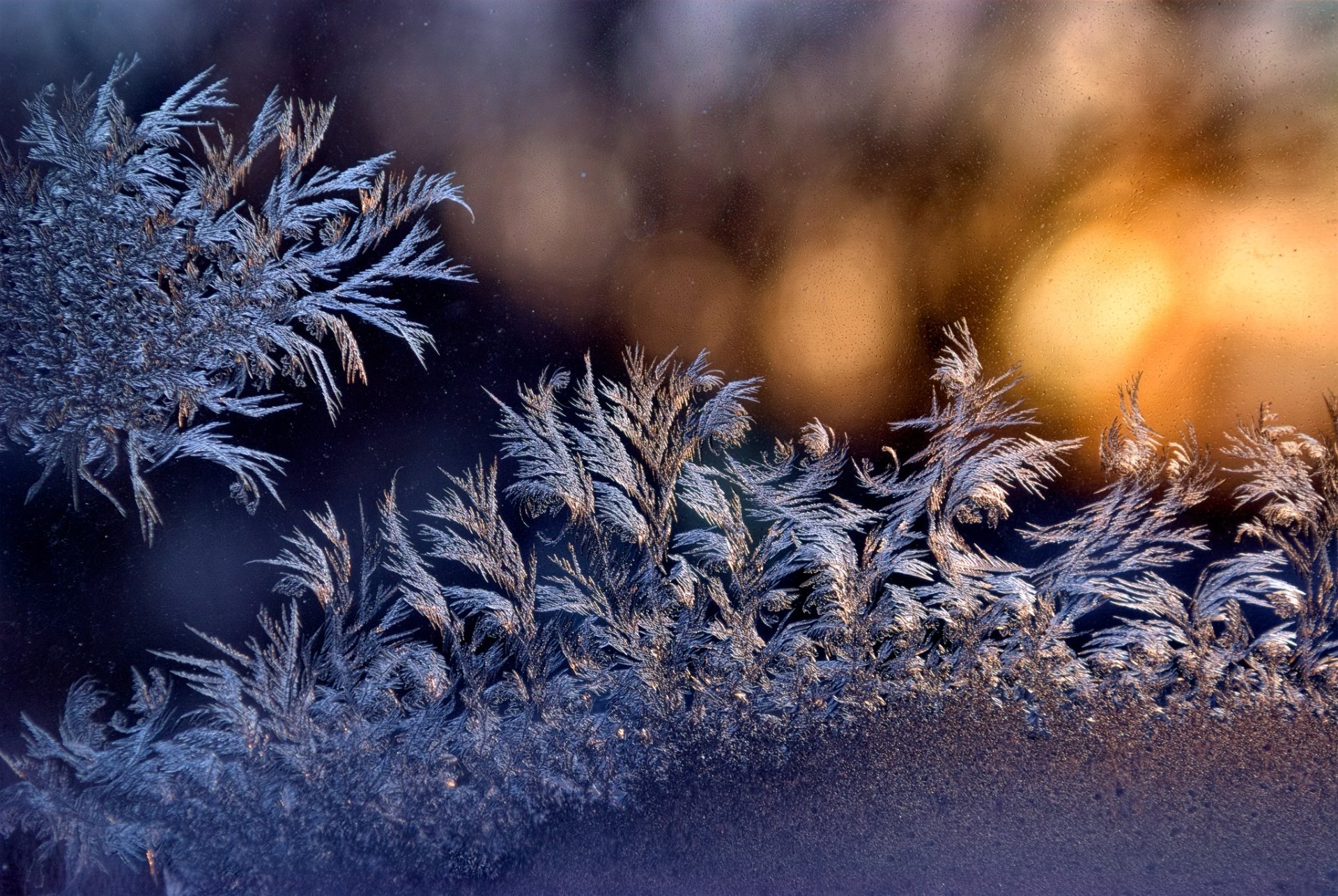 Download Macro Ice Nature Frost HD Wallpaper
