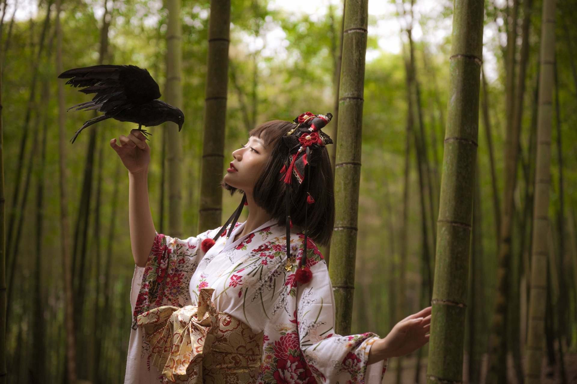 Download Kimono Short Hair Bamboo Brunette Model Crow Woman Asian HD ...
