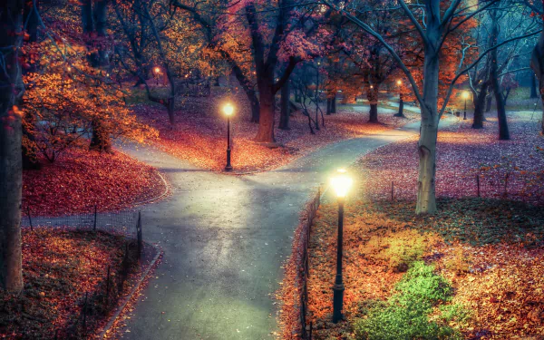 [190+] Park 4k Wallpapers