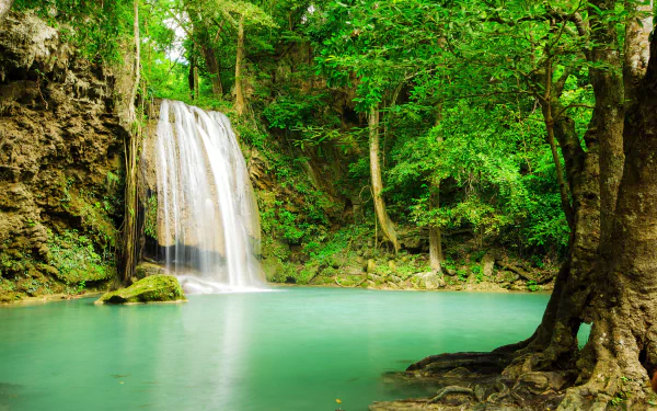 [180+] Greenery 4k Wallpapers