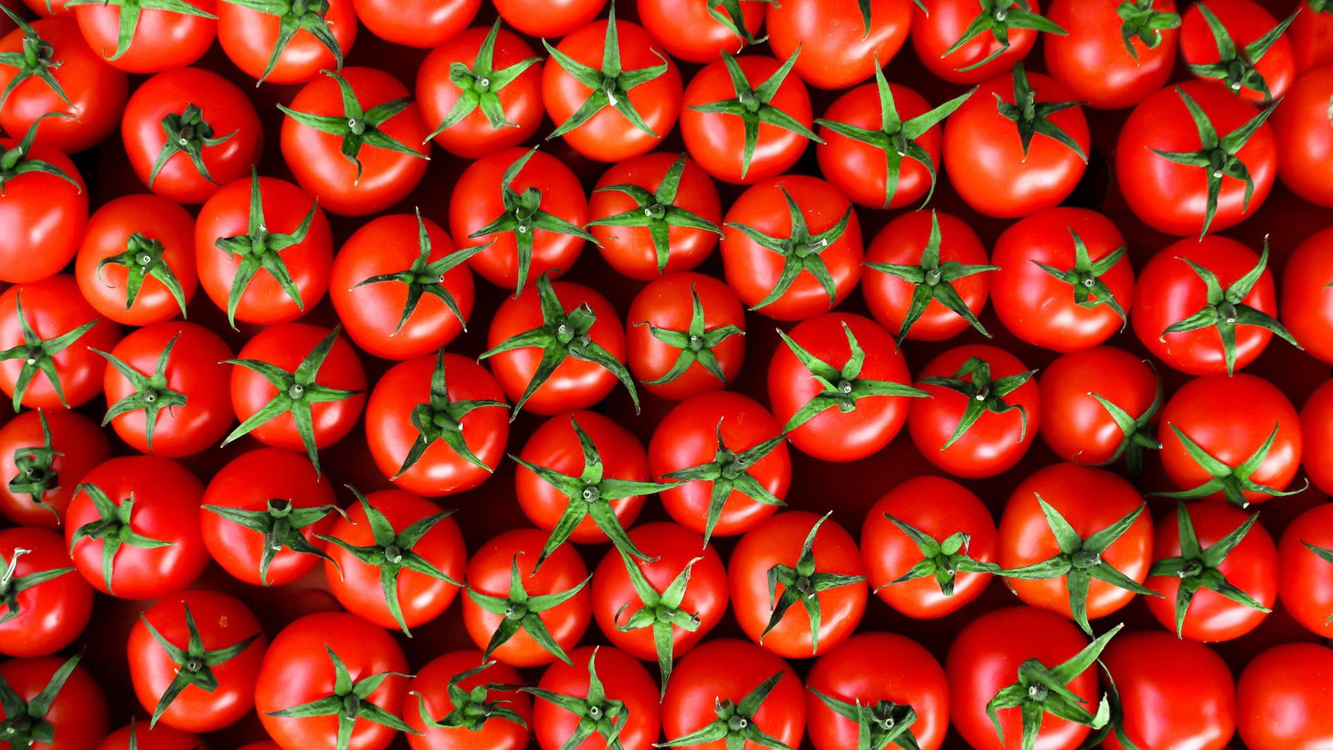 Download Food Tomato HD Wallpaper