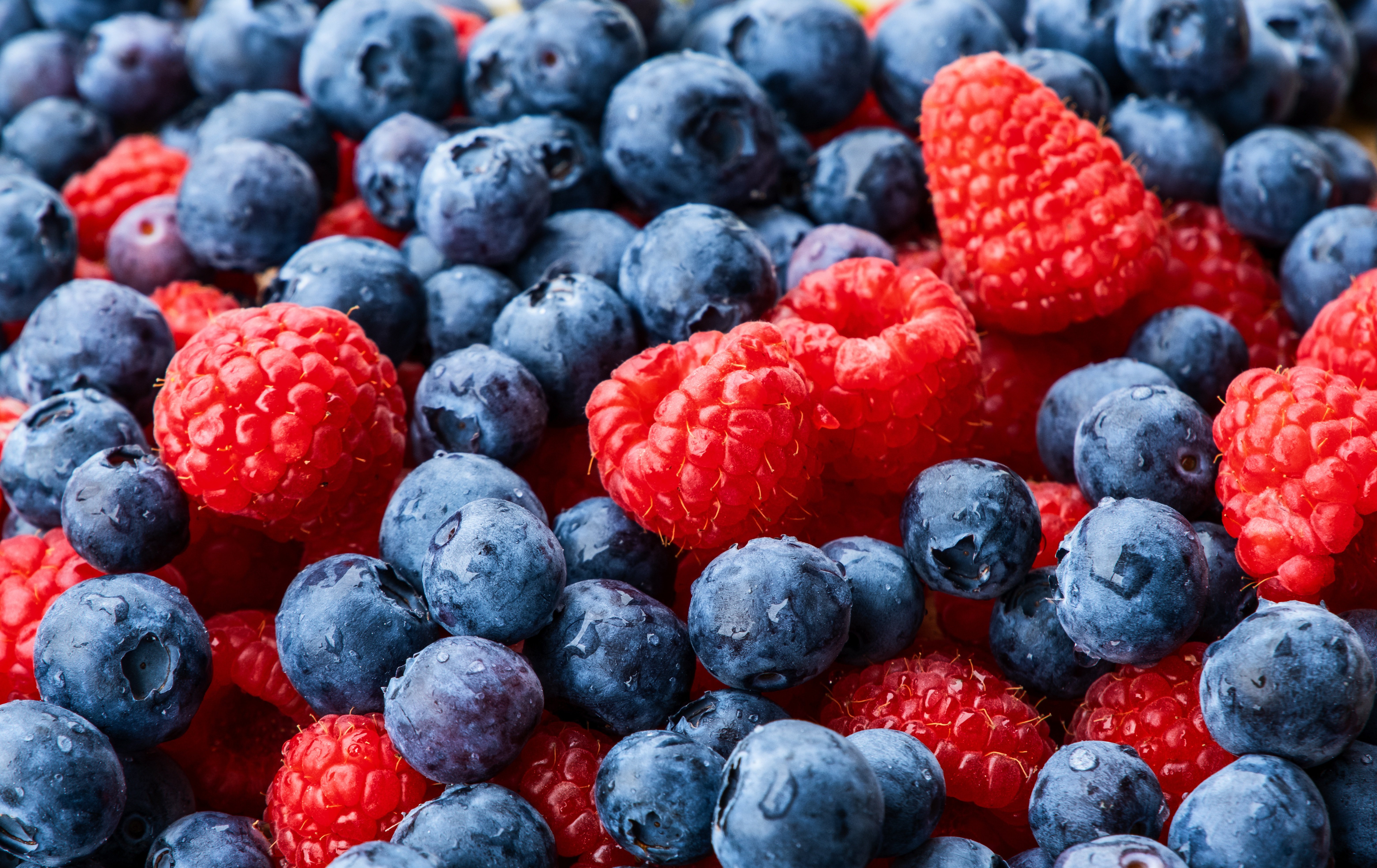 Berry 4k Ultra HD Wallpaper | Background Image | 6240x3934