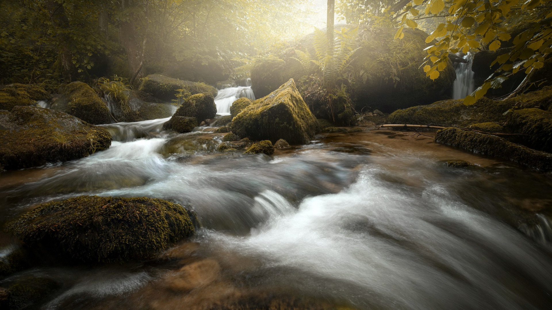 Nature Stream HD Wallpaper